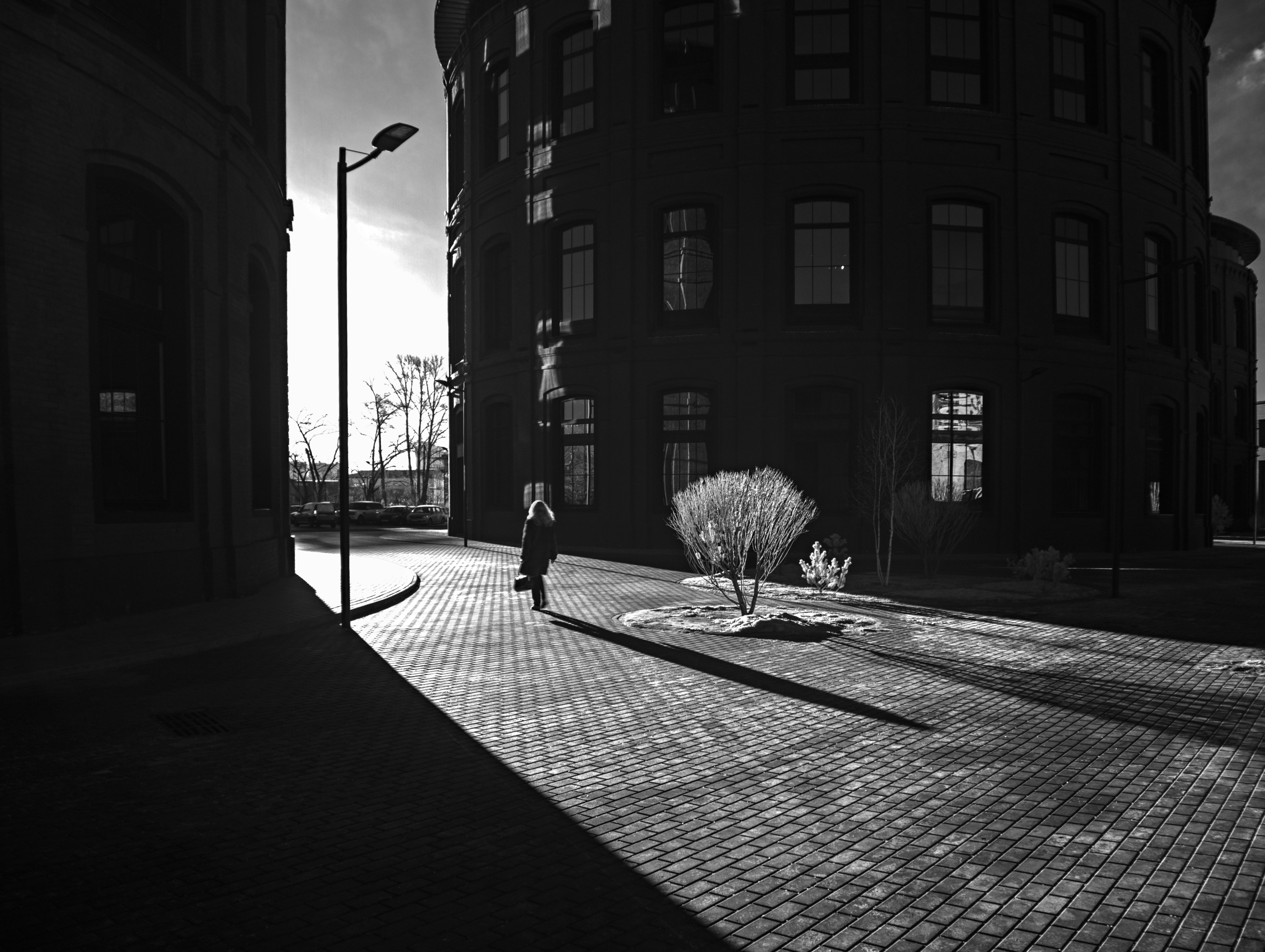 Shadows of Solitude