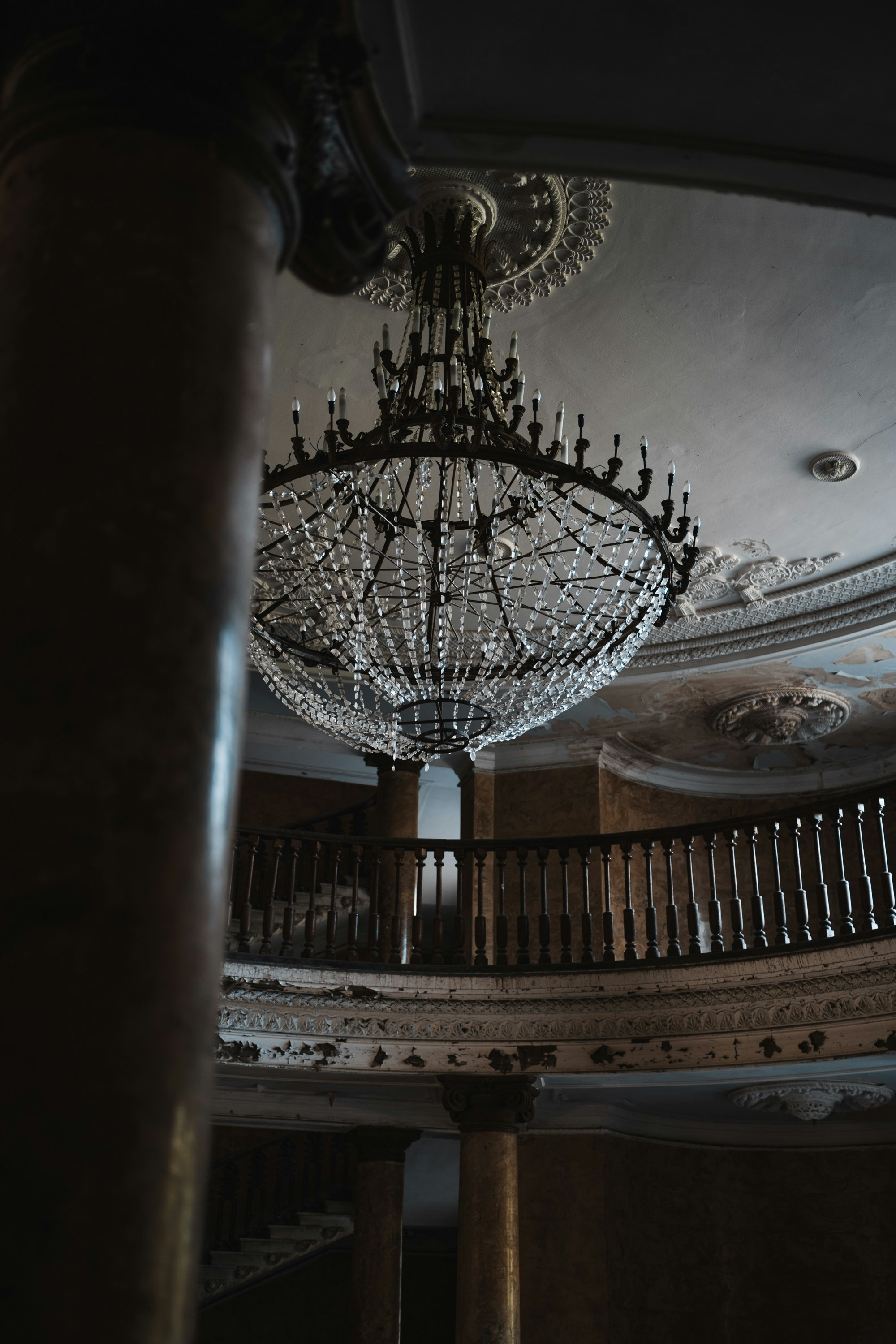 Glimmering Elegance in Dim Light