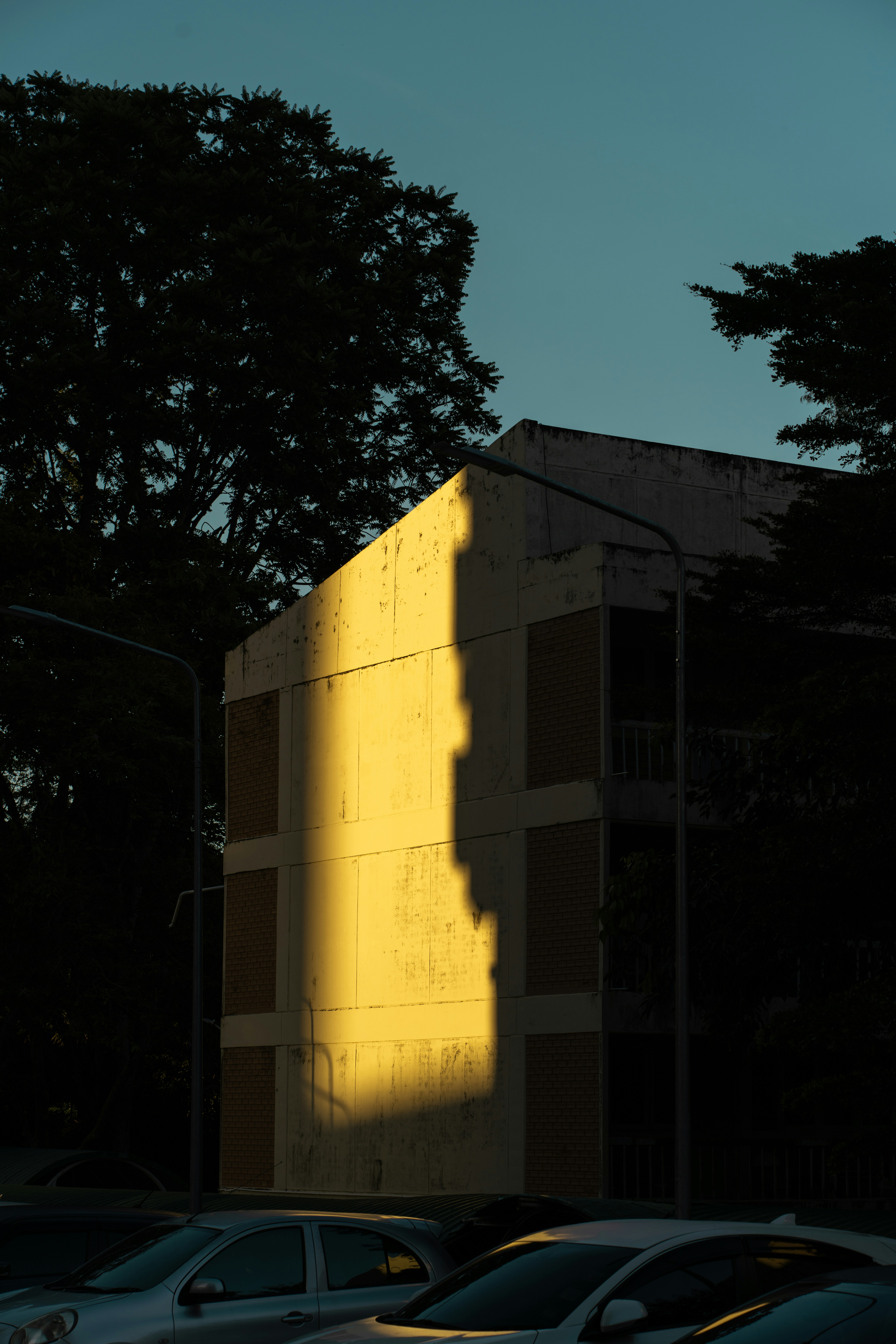 Building facade illuminated by golden sunset light