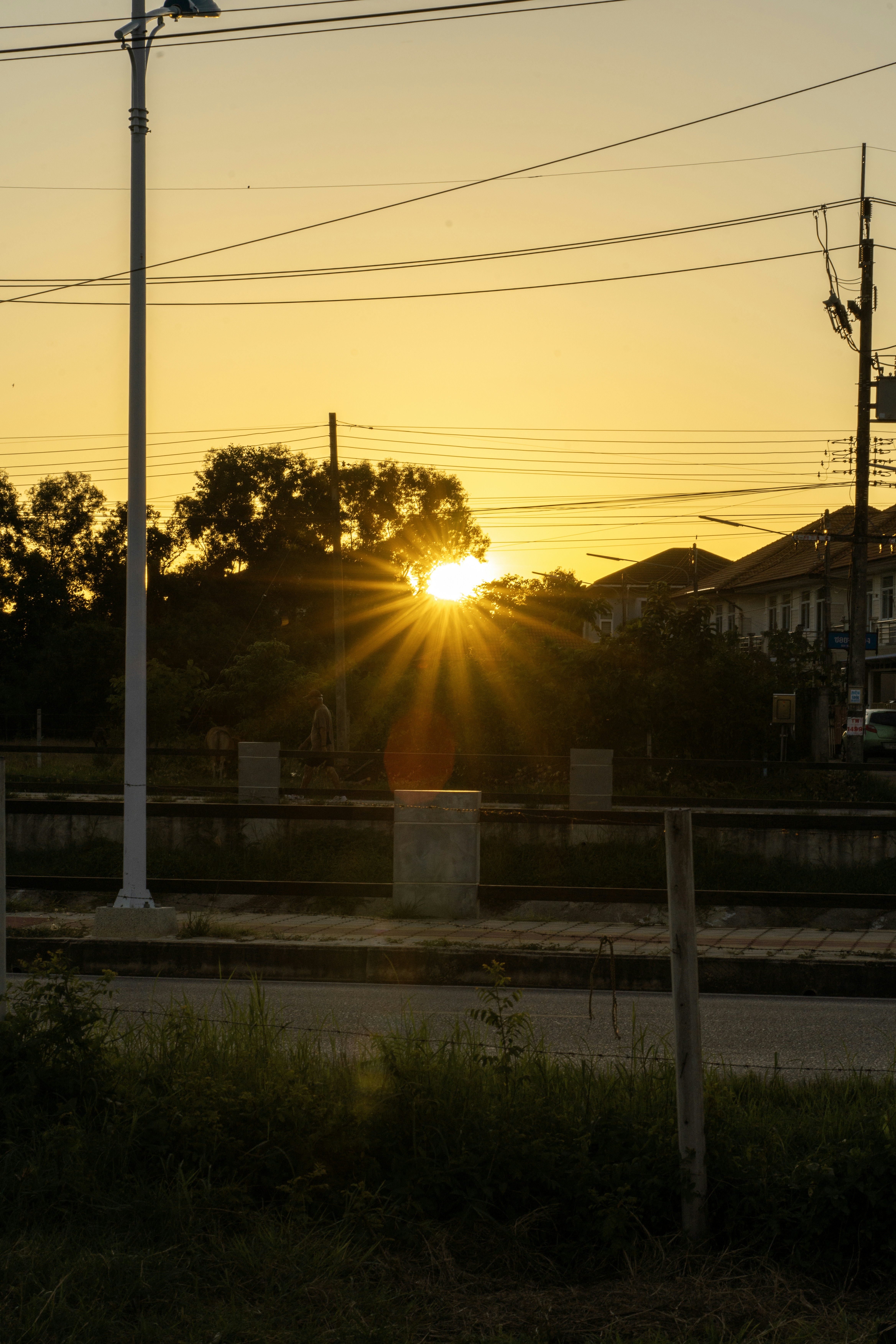 Sunset Symphony: A Dance of Light and Shadows