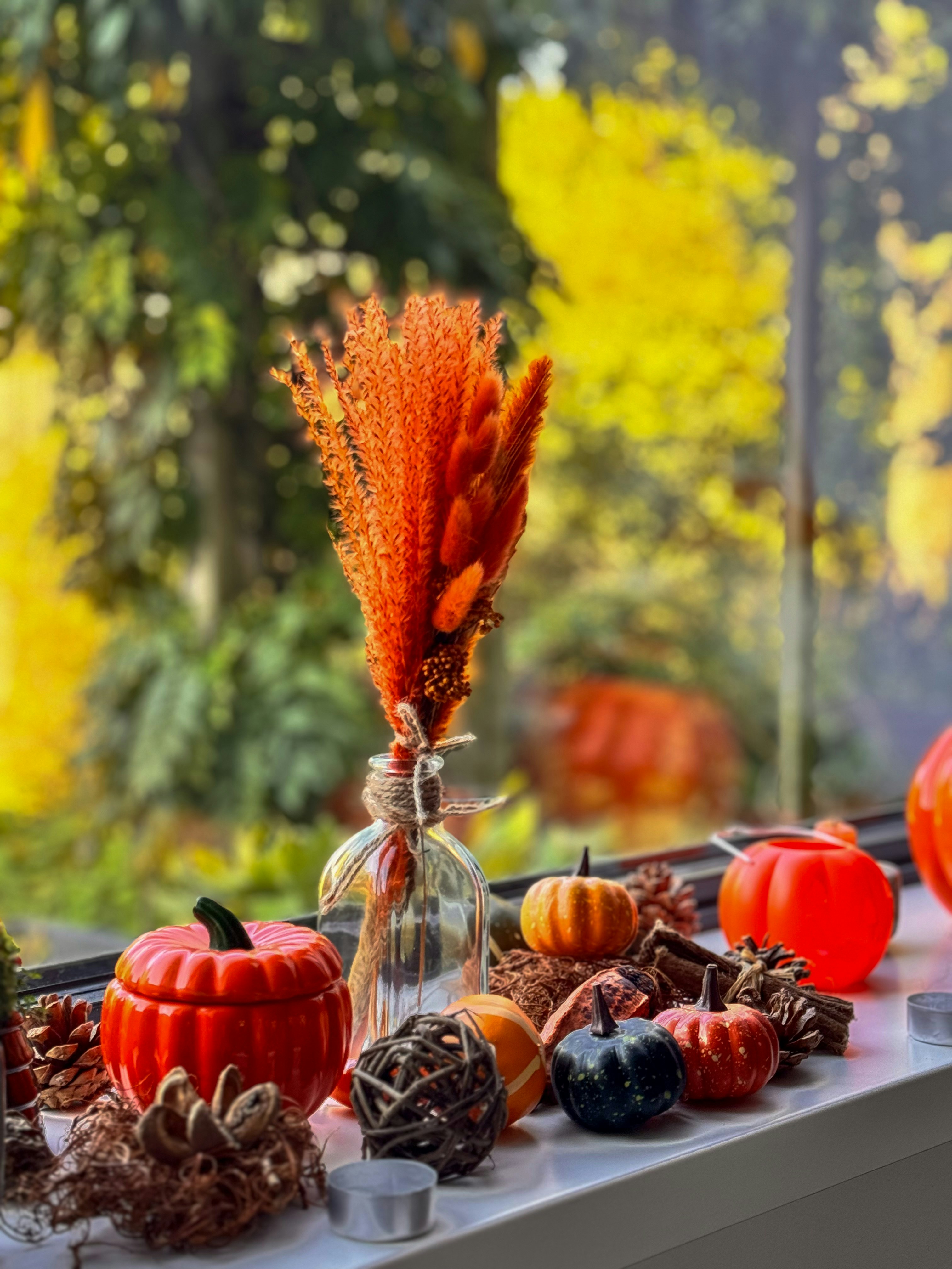 Harvest Harmony: A Celebration of Autumn's Palette