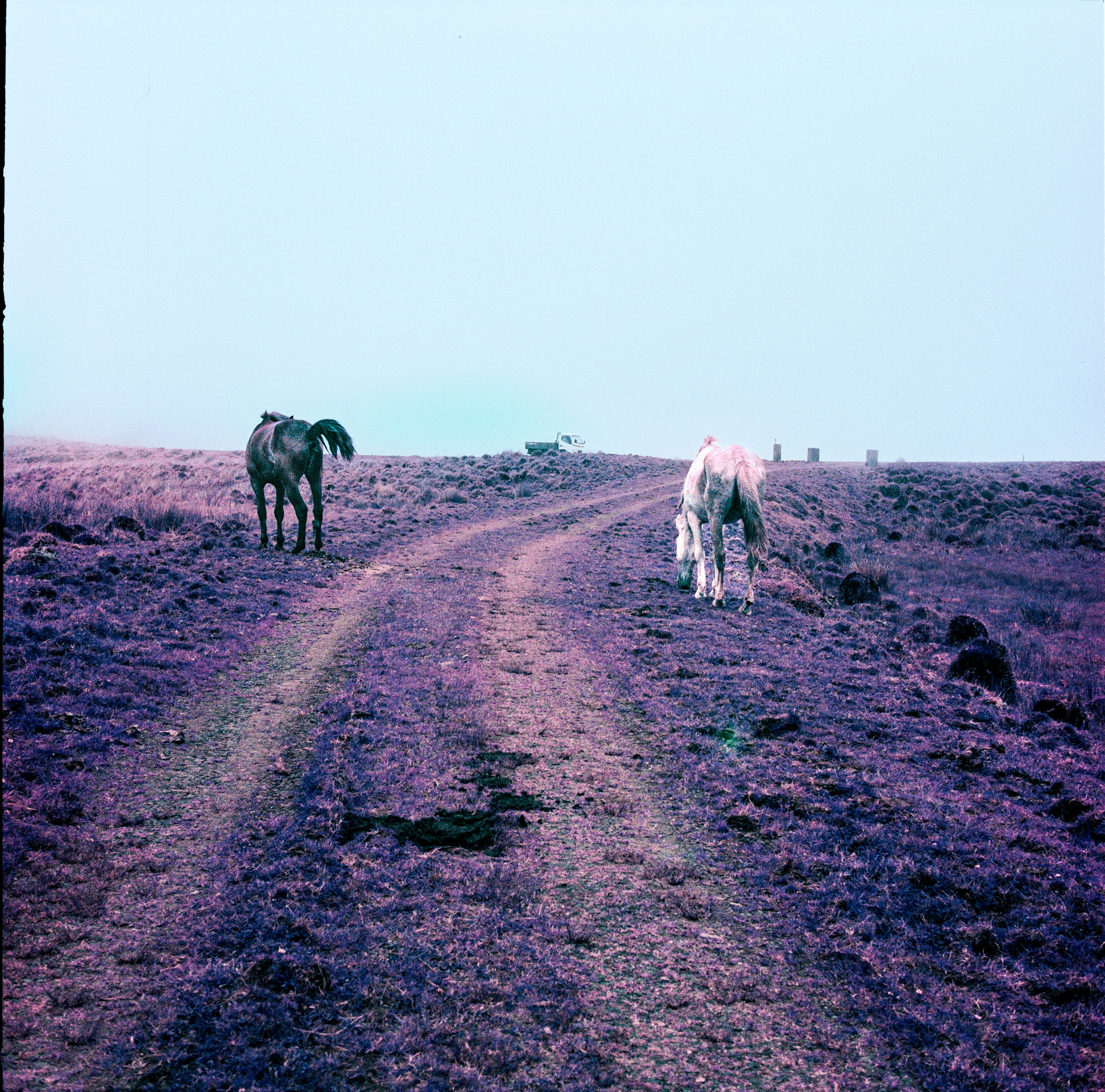 Sample photo from Yashica Mat-124