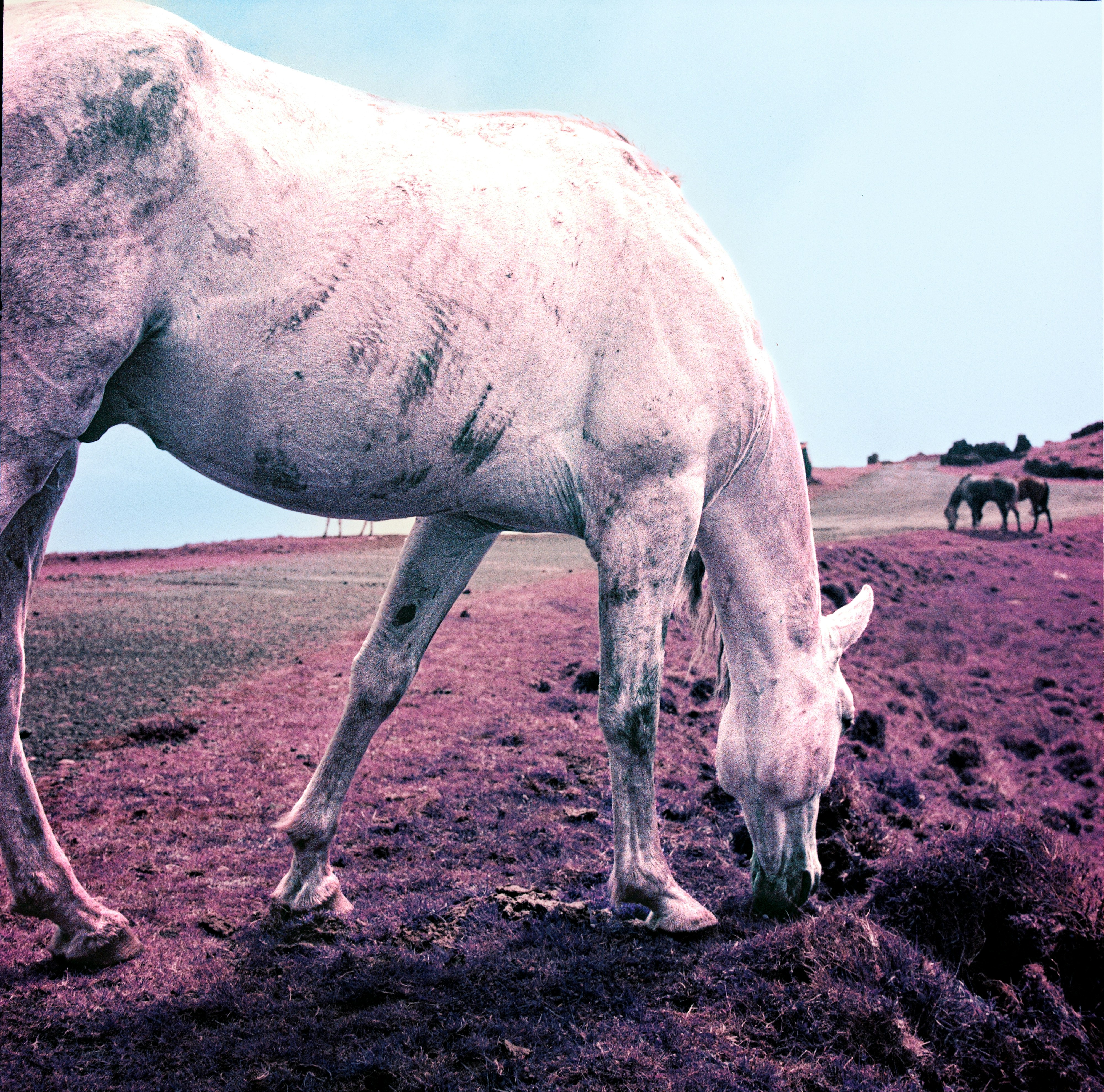 Sample photo from Yashica Mat-124