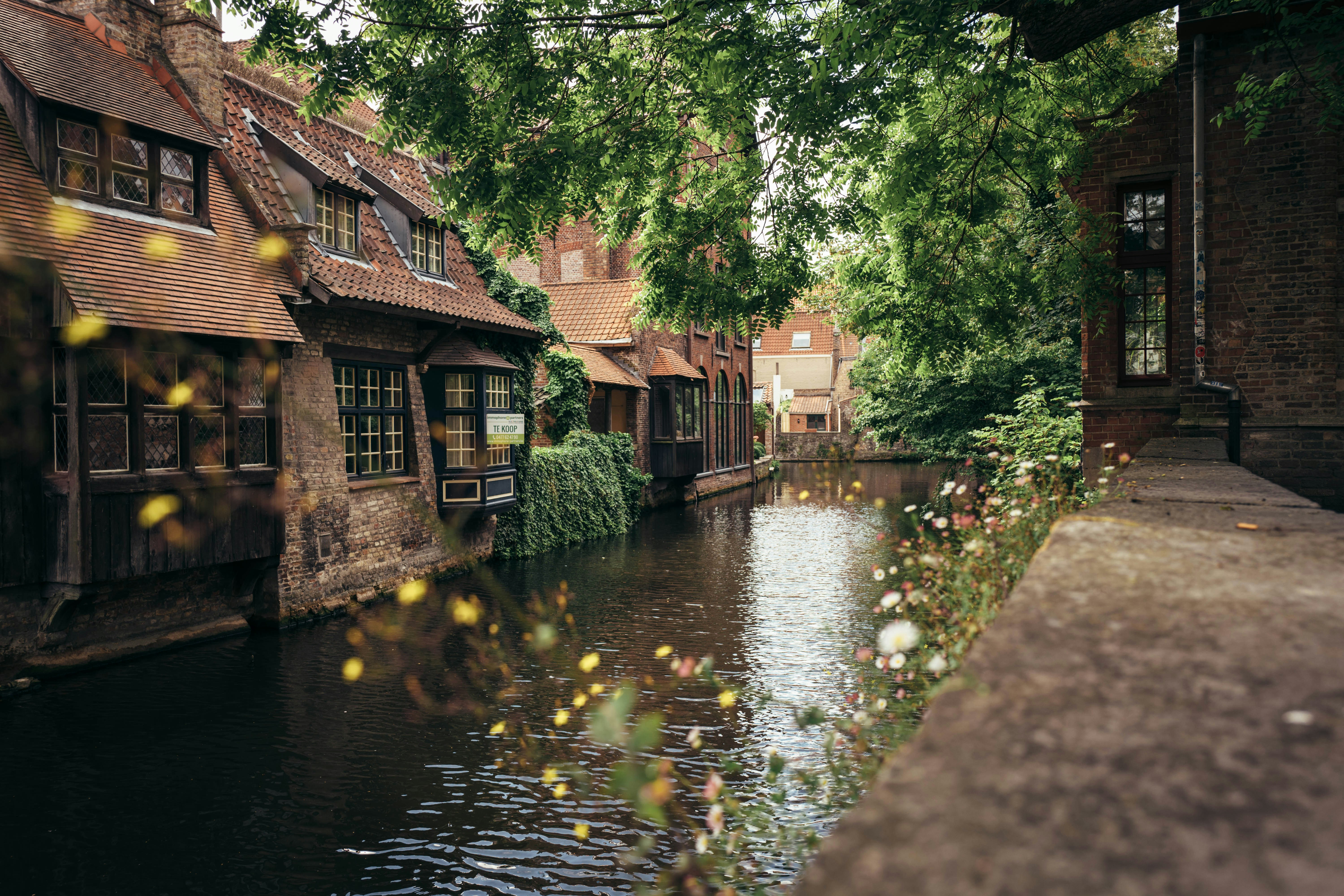Charming canal lined with historic buildings, adorned with lush greenery. The tranquil water reflects the architecture, creating a peaceful atmosphere.