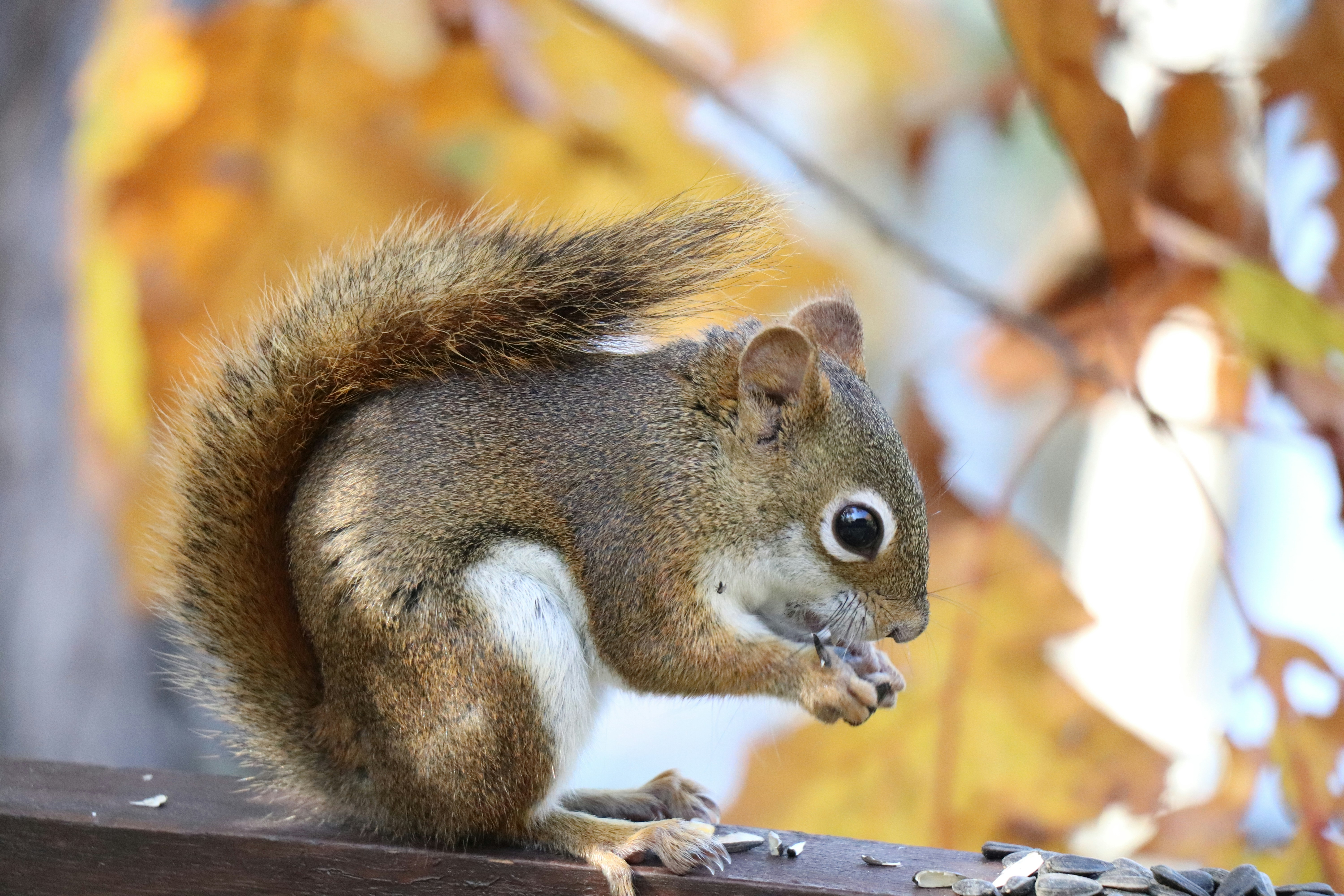 Photo by Sandi Mager with Canon EOS 77D