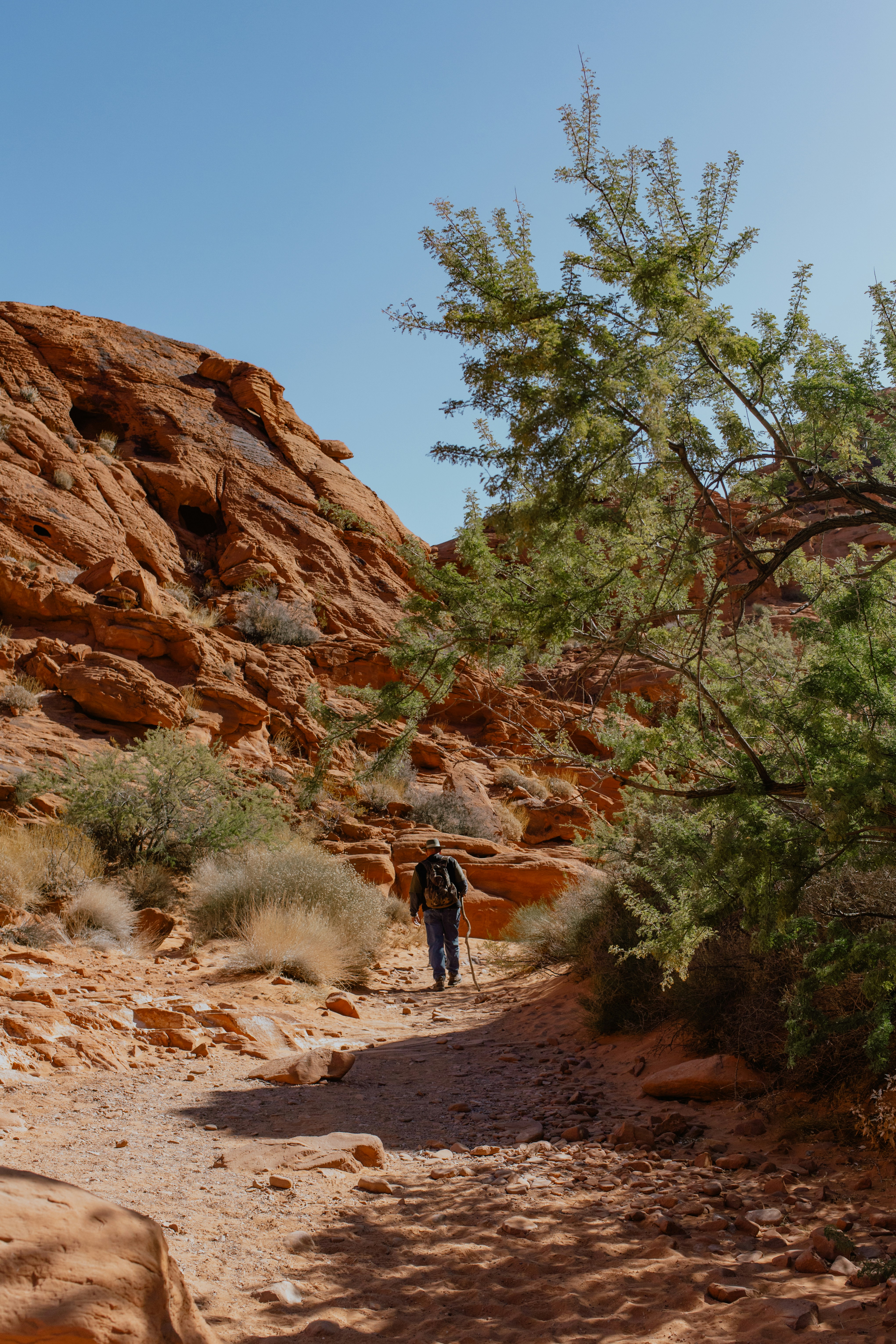 A person hikes a desert trail with red rock formations.