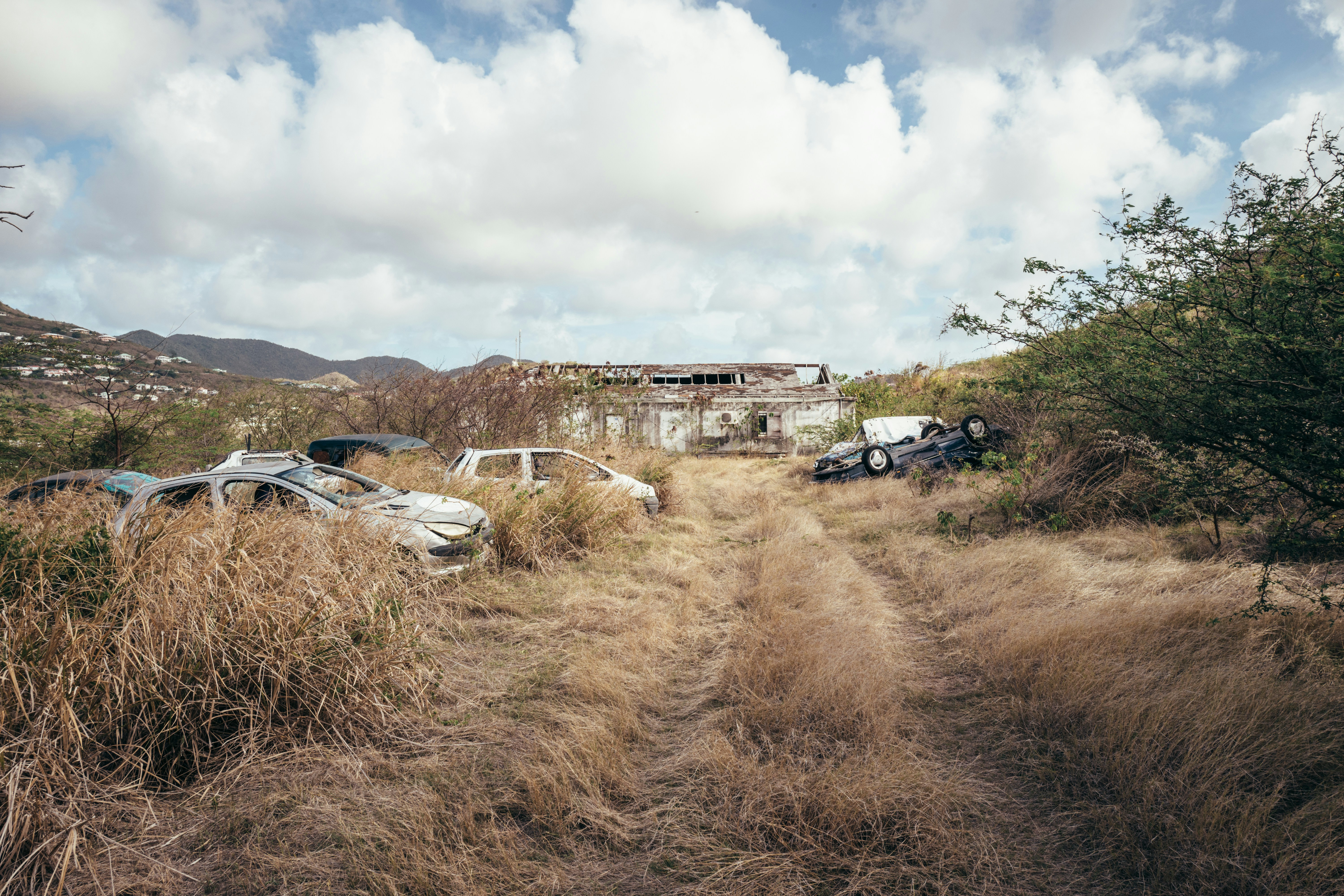 Forgotten Pathways: A Journey Through Abandonment