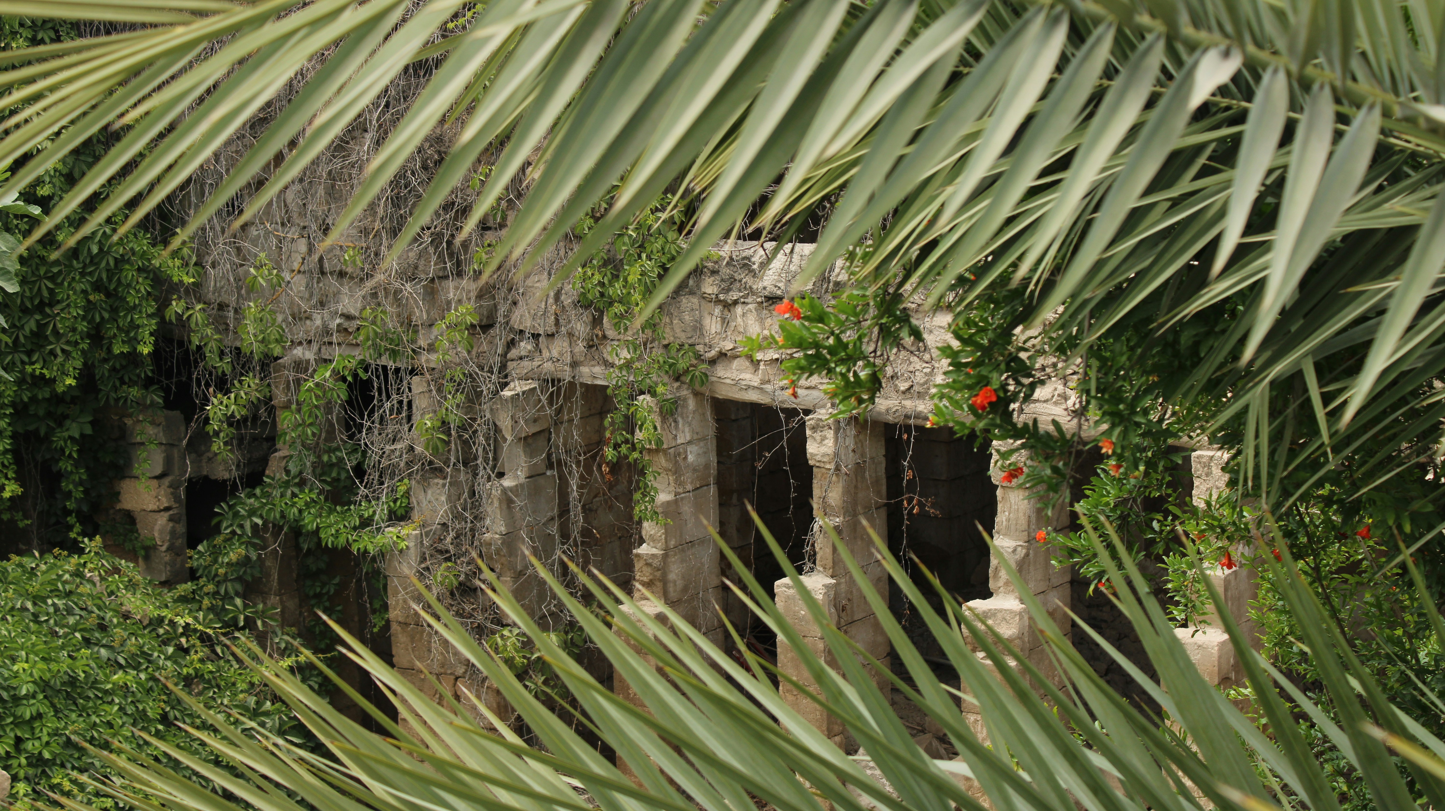 Abdullah Hassan (@ab4shaq) | Unsplash Photo Community