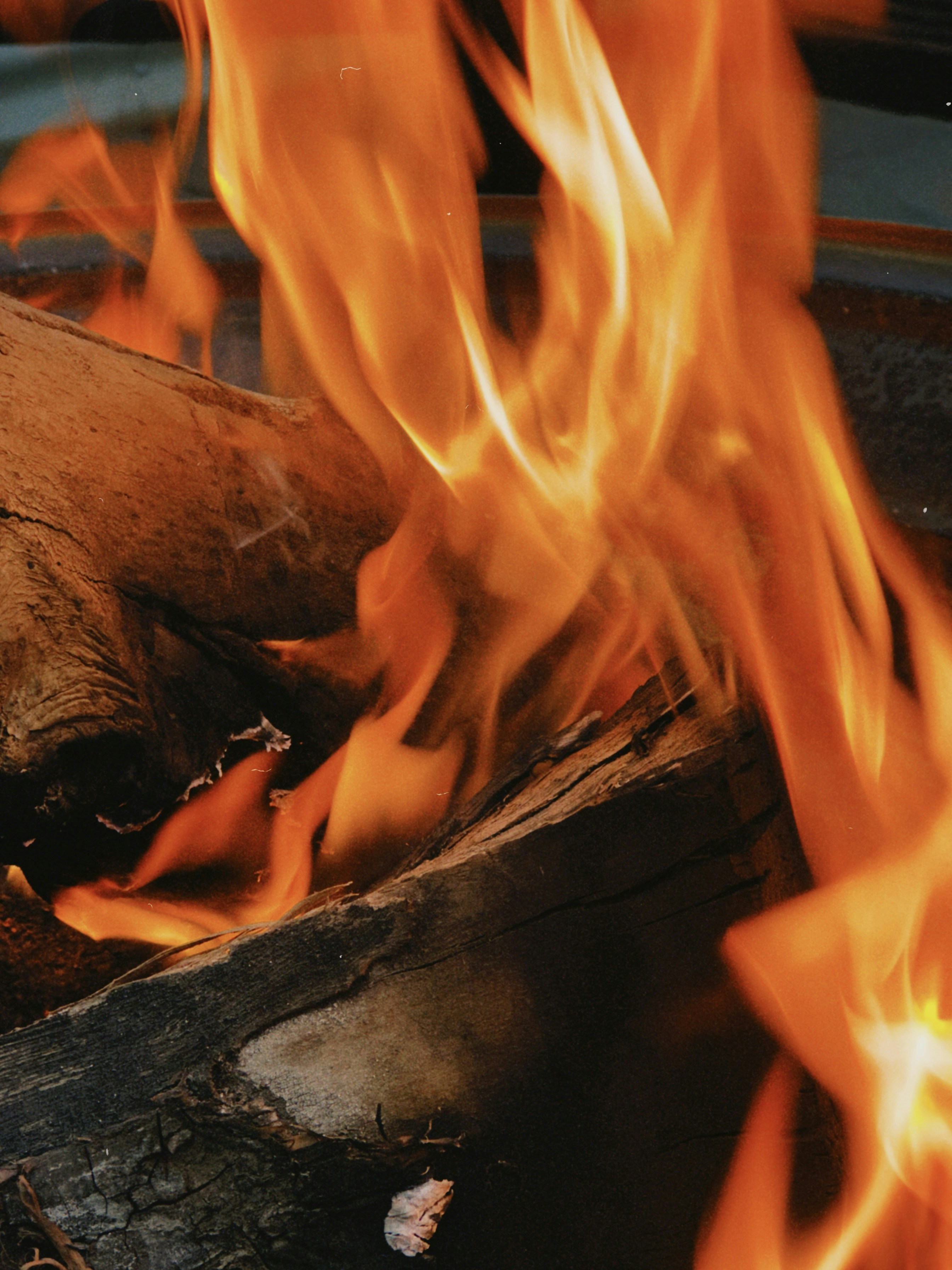 Wood on fire | Flames engulf burning logs in a campfire.