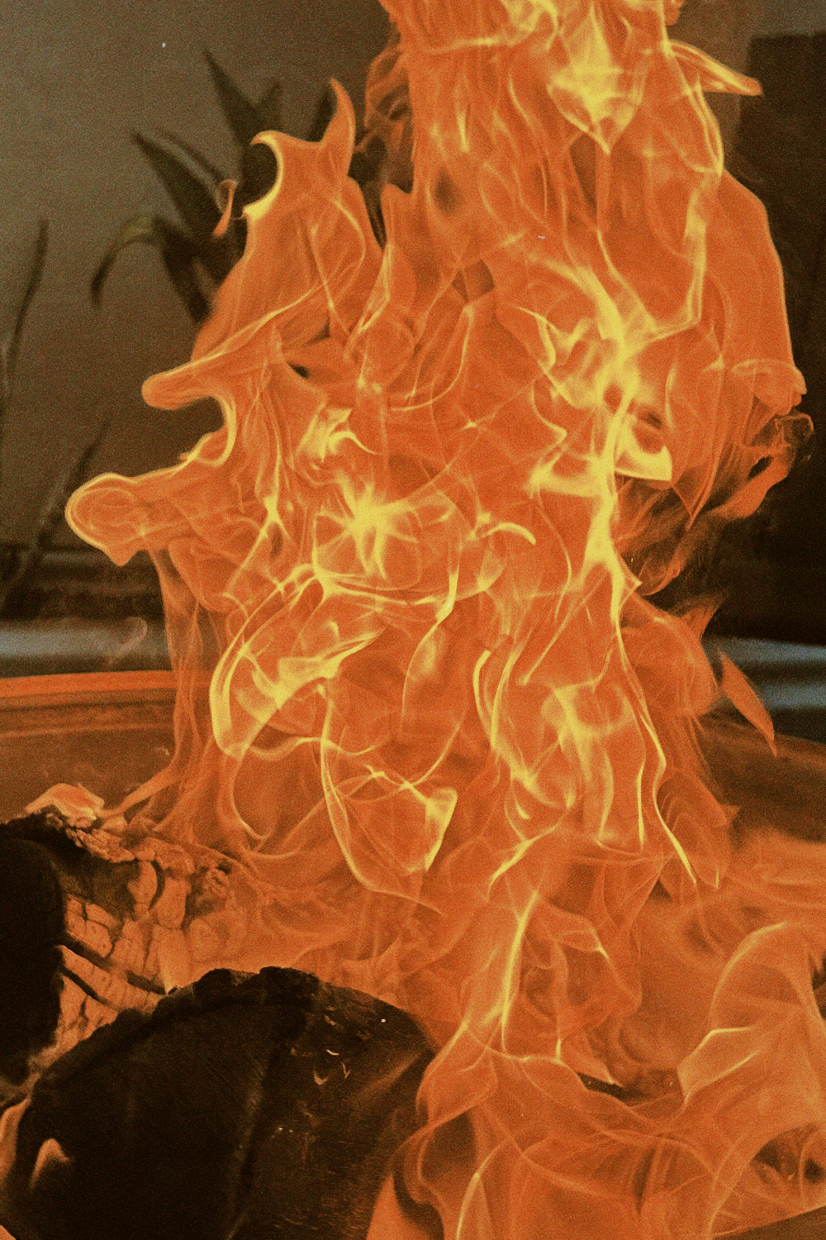 Dancing Flames: A Portrait of Fire's Elegance