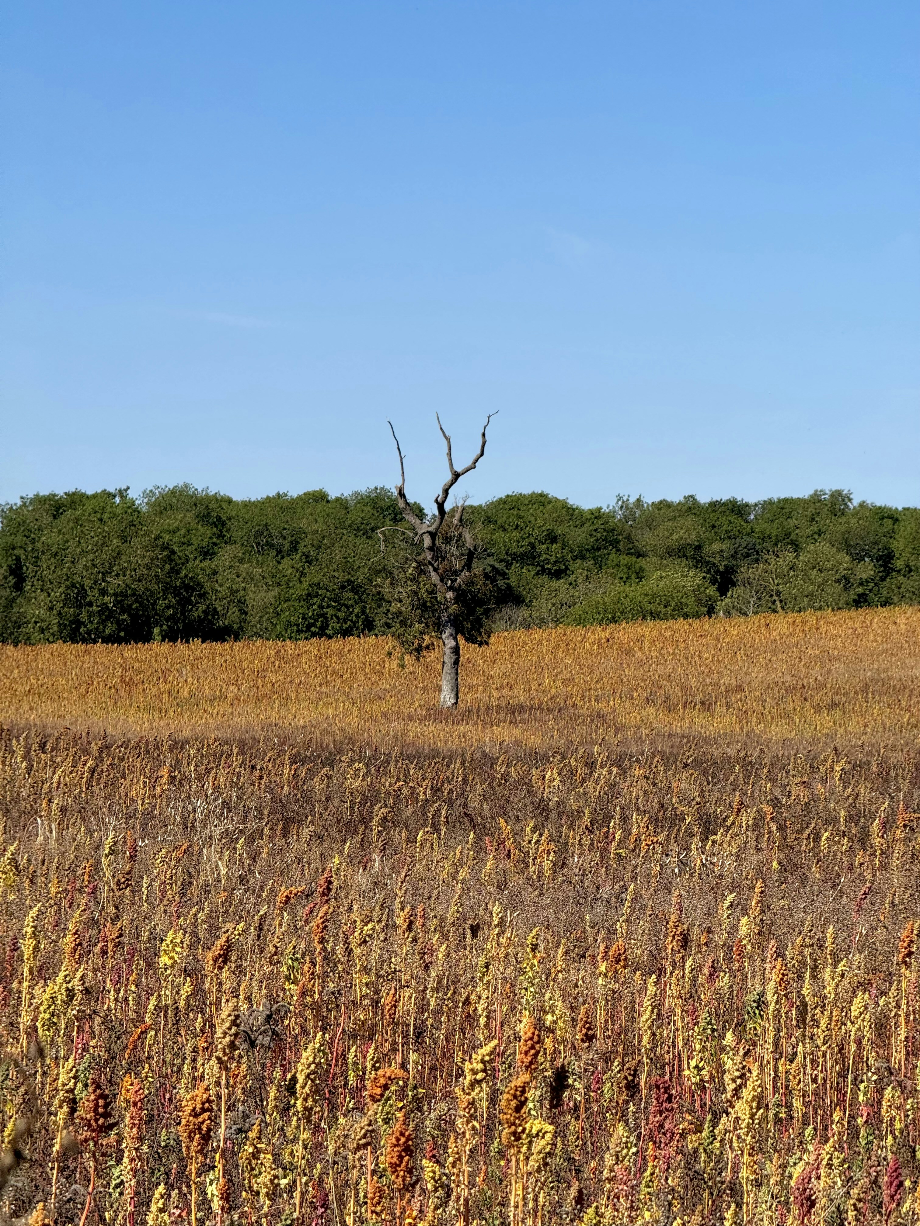 Paul J Cunningham (@pauljcunningham) | Komunitas Foto Unsplash