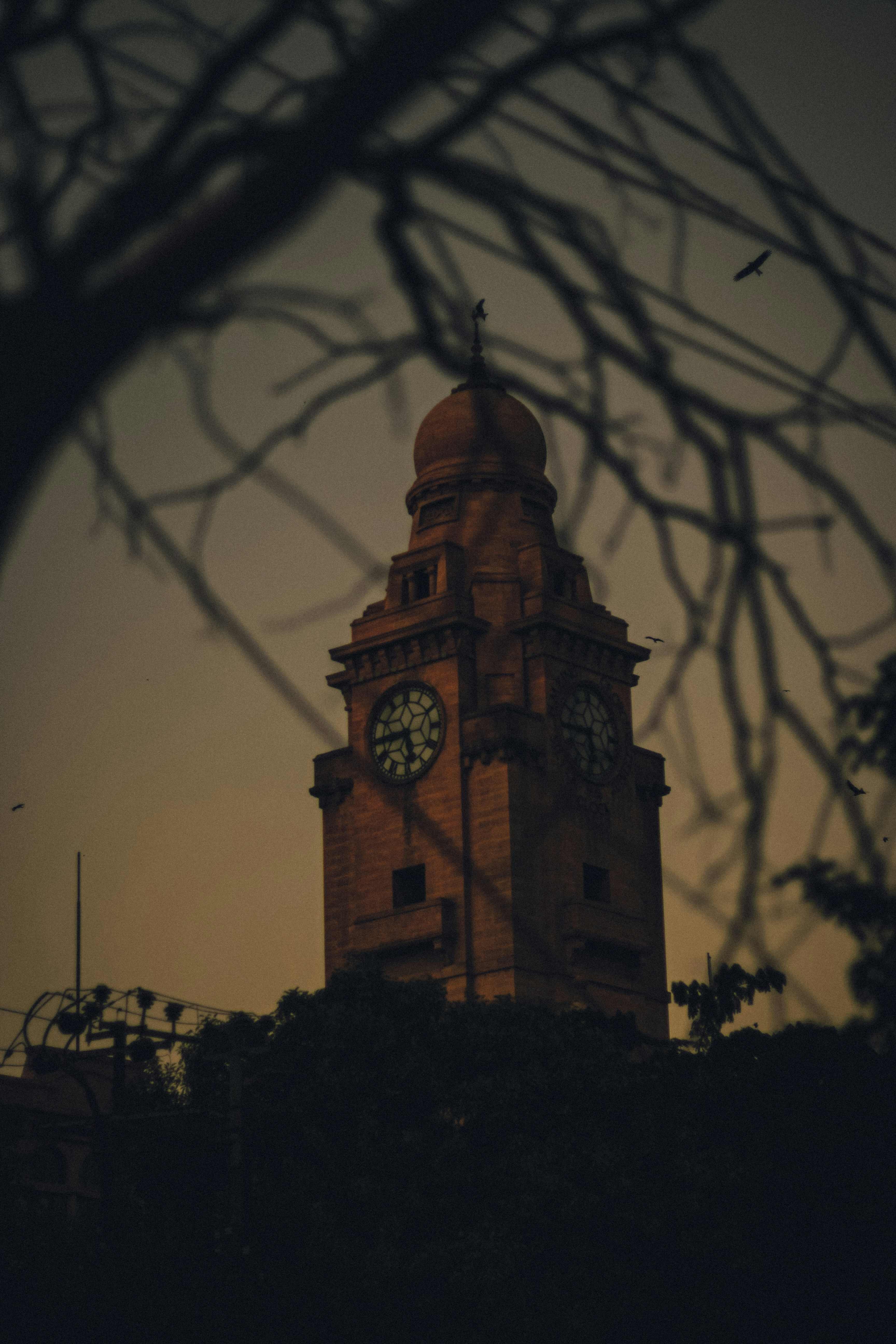 Feels like Gotham in The Batman | Clock tower seen through silhouetted branches at dusk