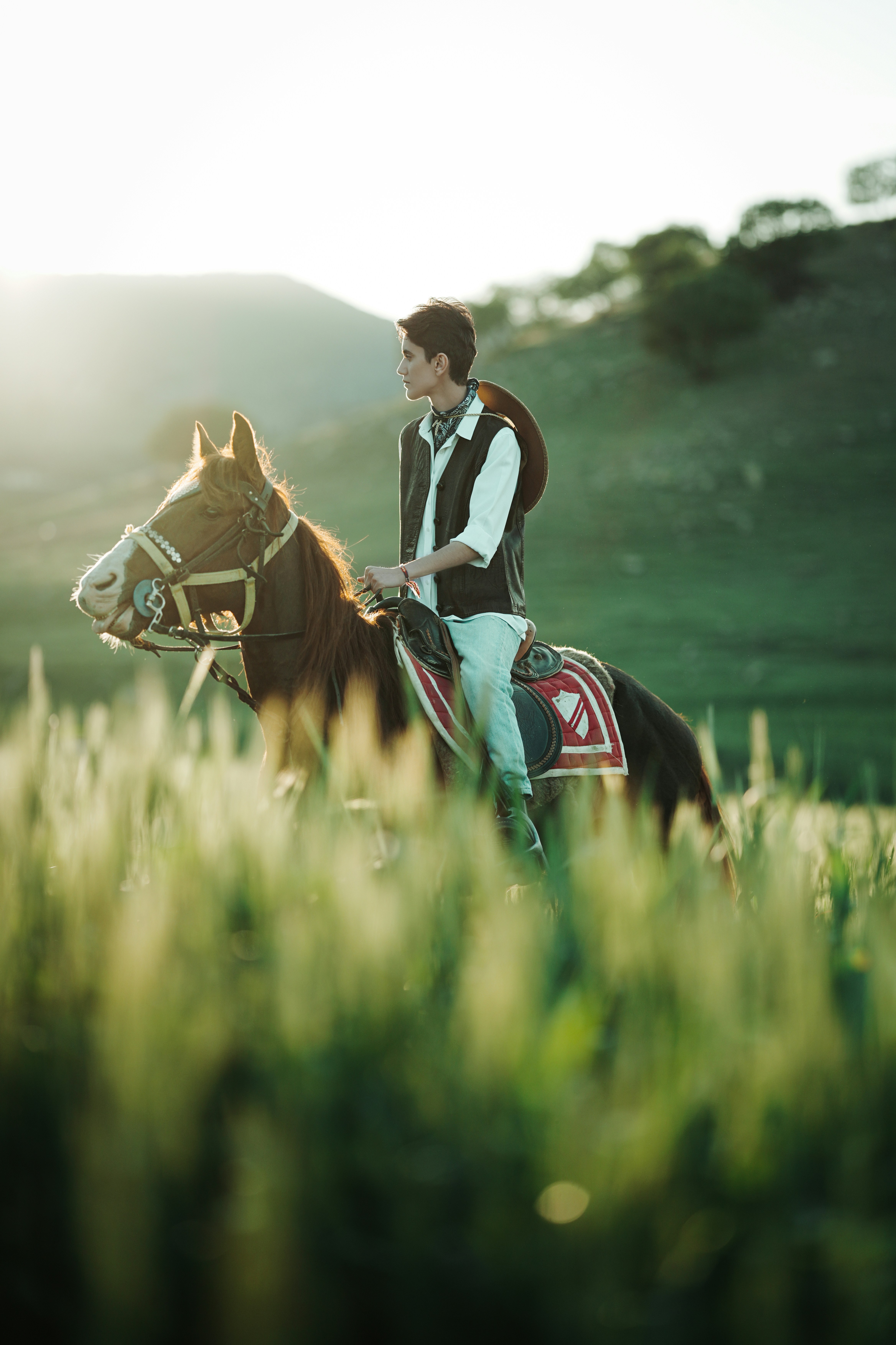Rider in the Golden Hour