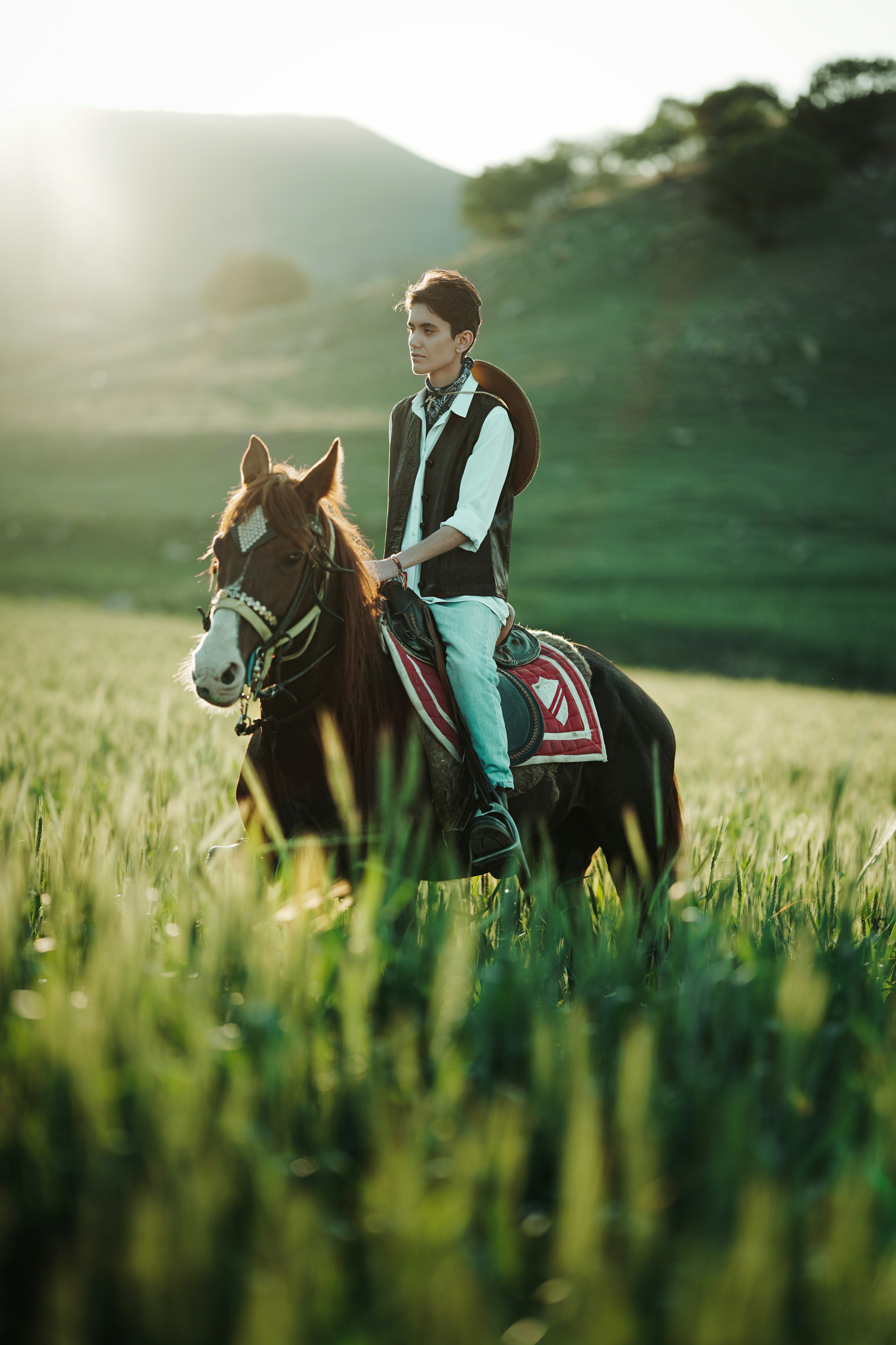 Rider in the Golden Fields