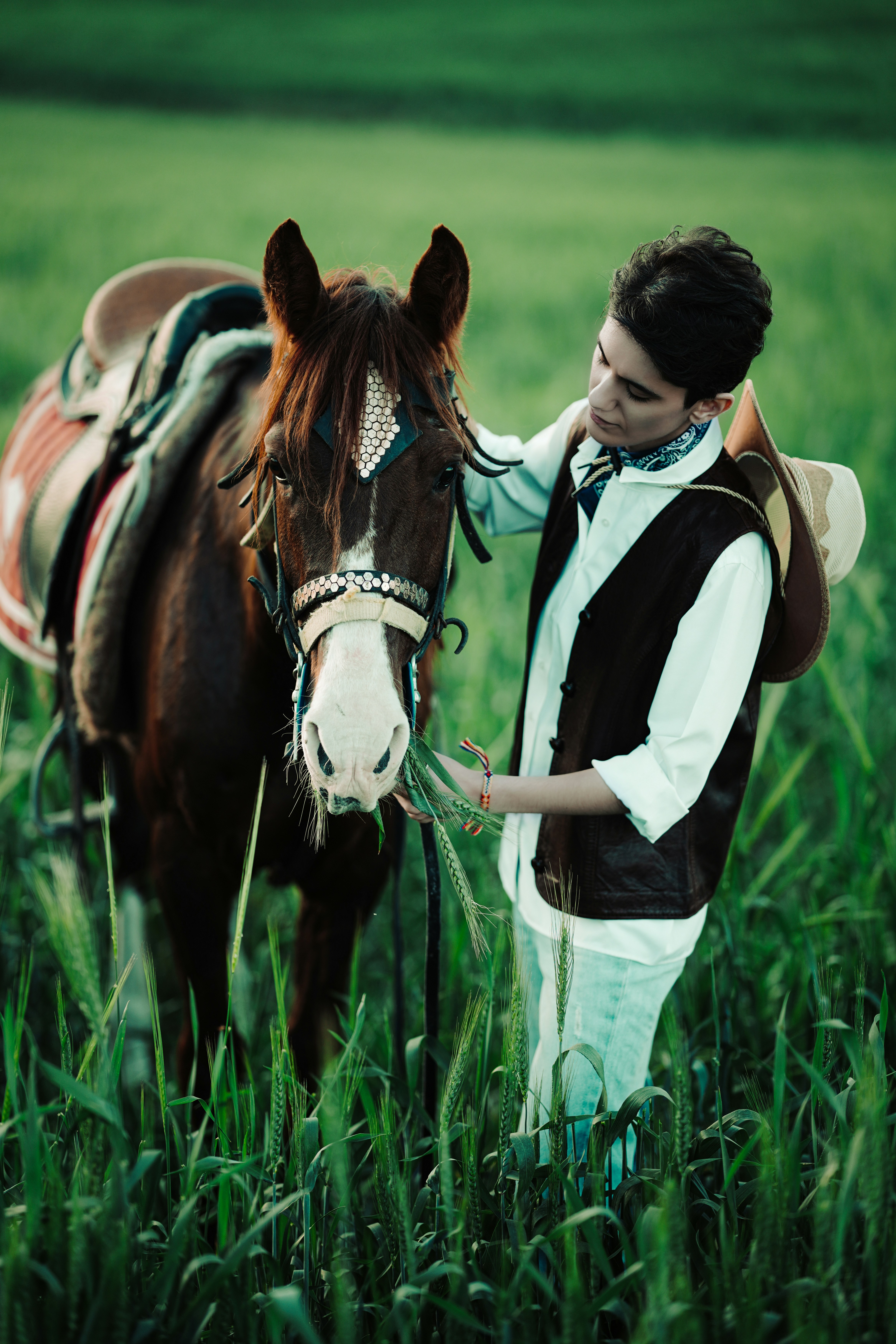 Bejeweled Bridle, Quiet Bond in a Green Meadow