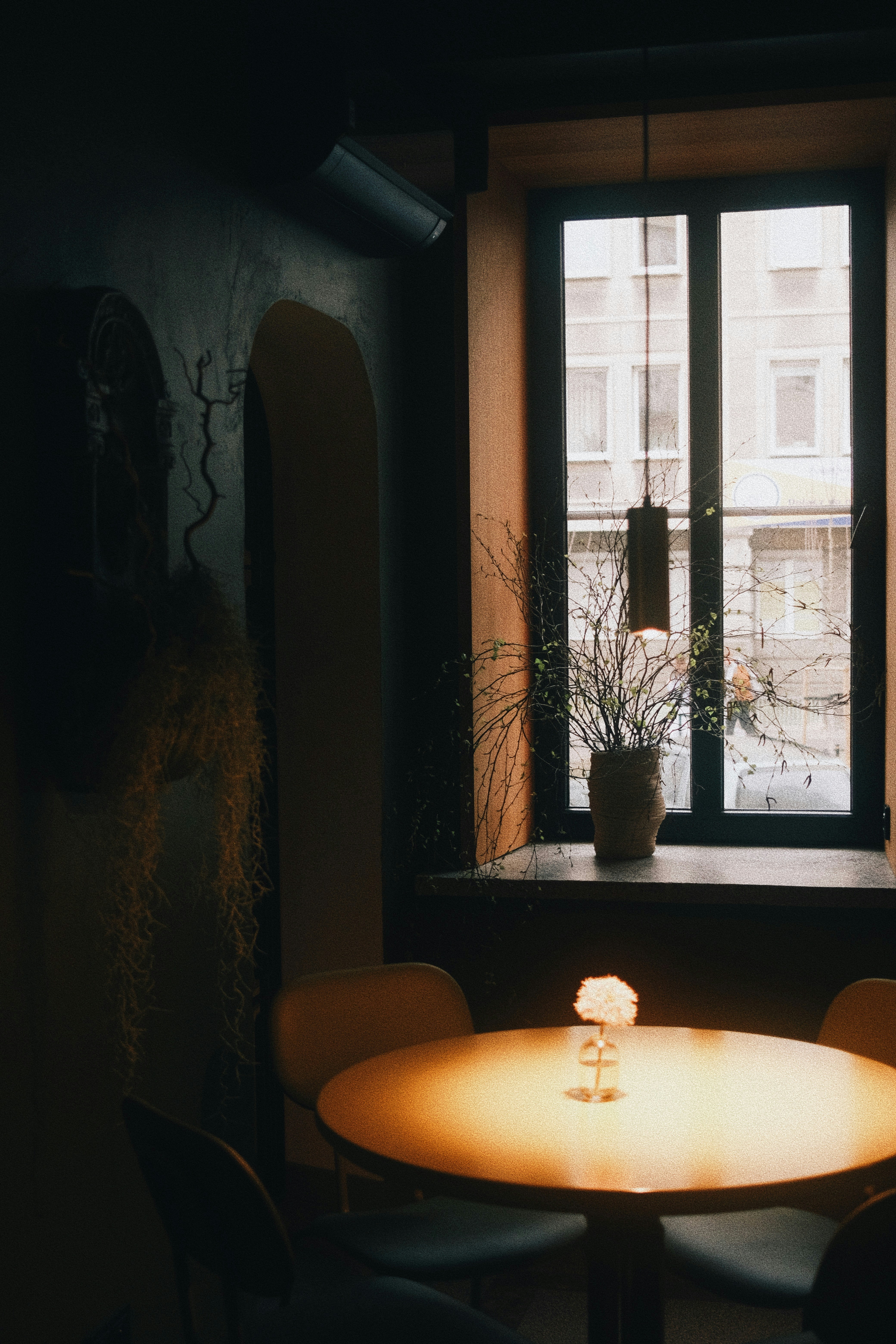 Processed with VSCO with a6 preset | A single rose on a table by the window.