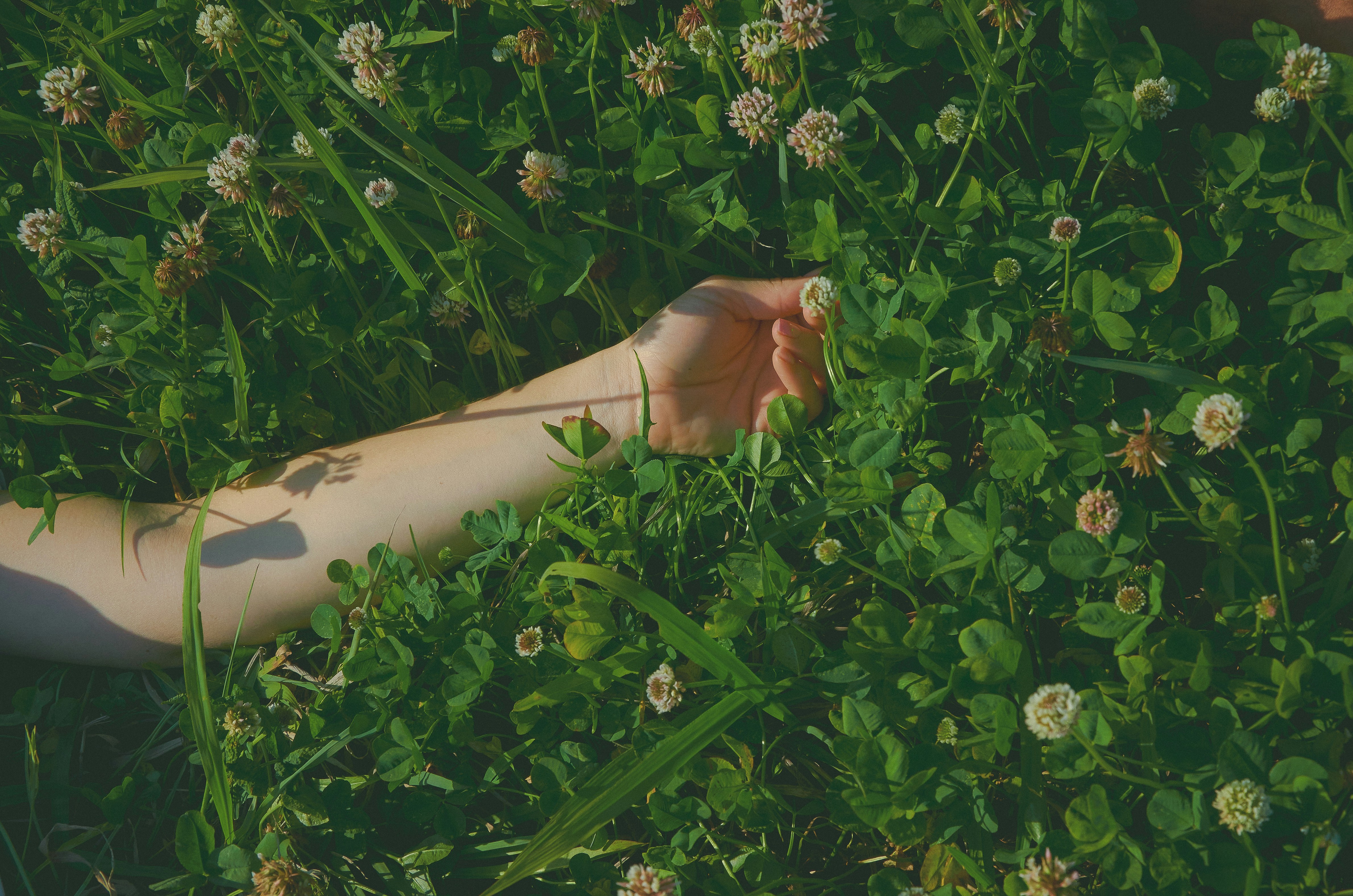Whispers of Nature: A Hand's Embrace