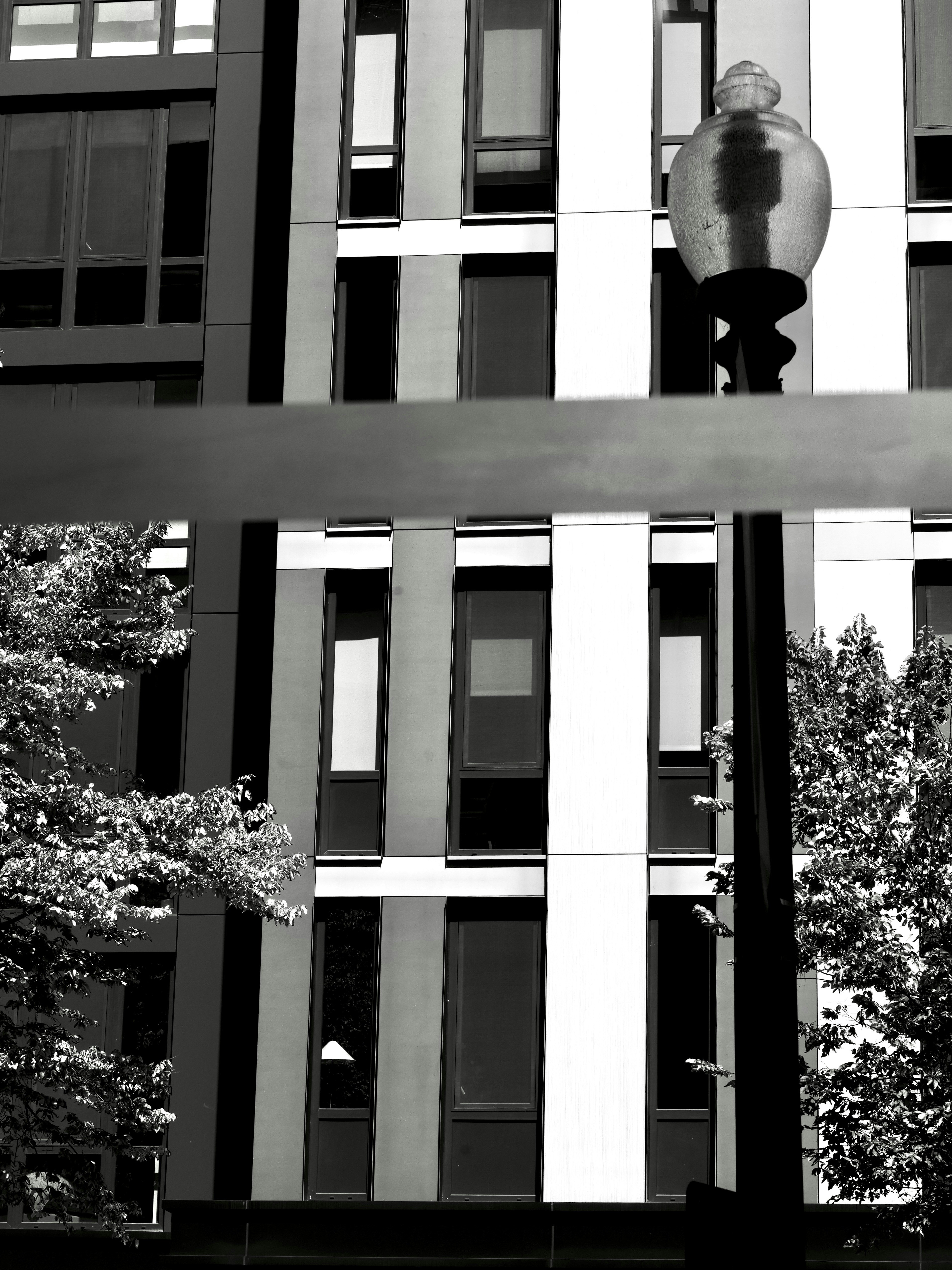 City impression | Modern building facade with trees and lamppost.