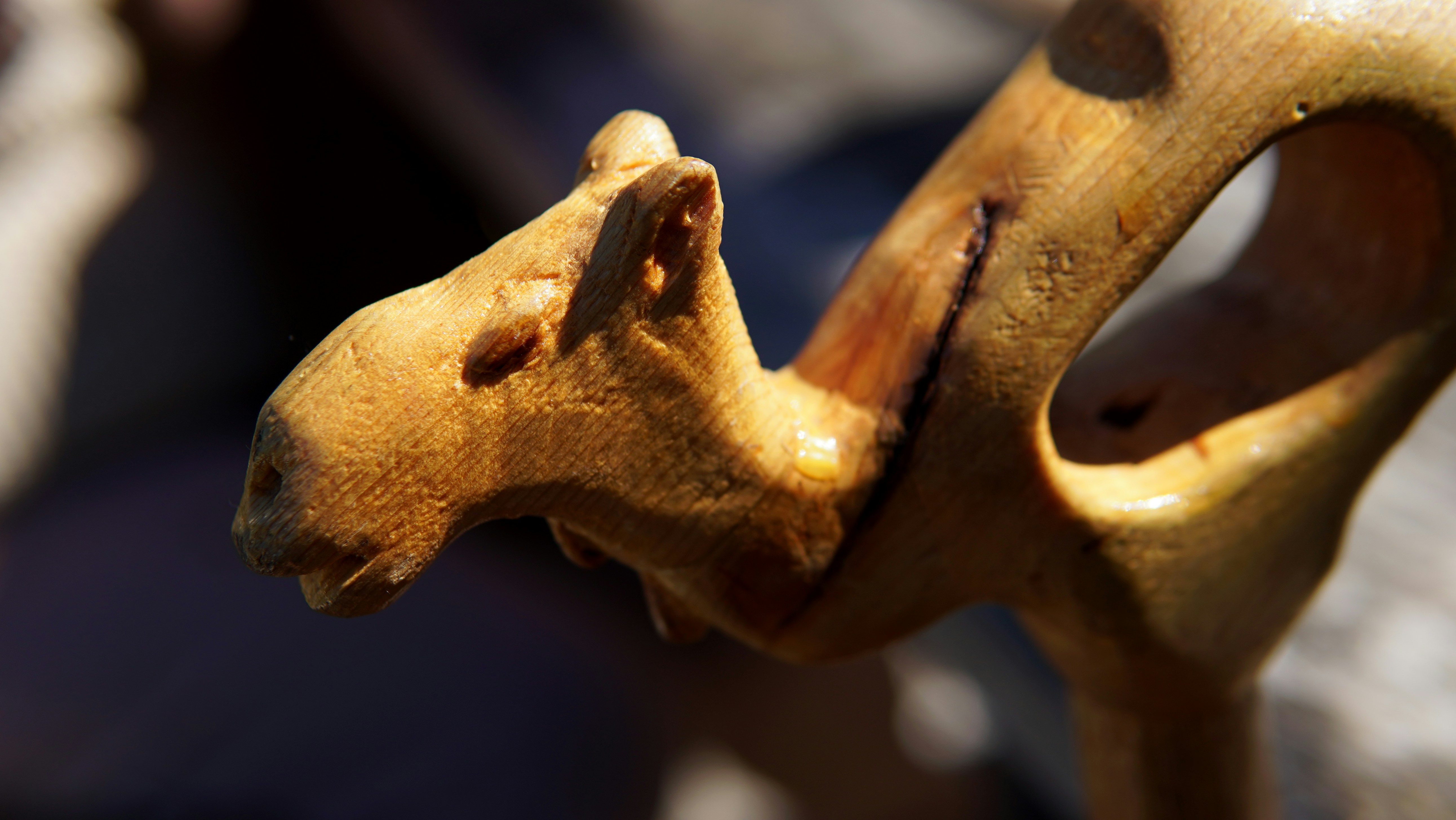 Carved wooden camel head on a branch