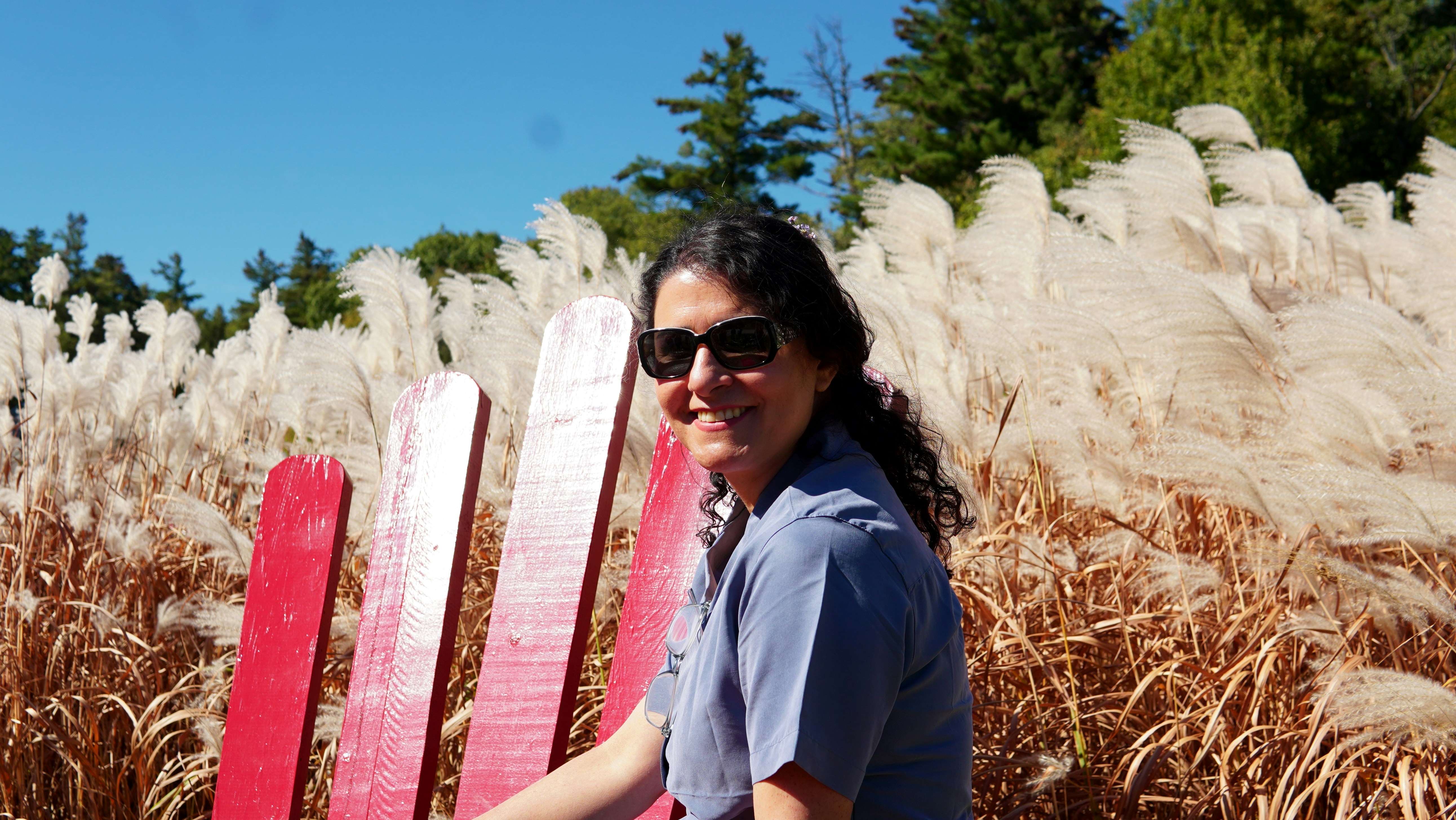 Serenity Amidst Golden Grasses