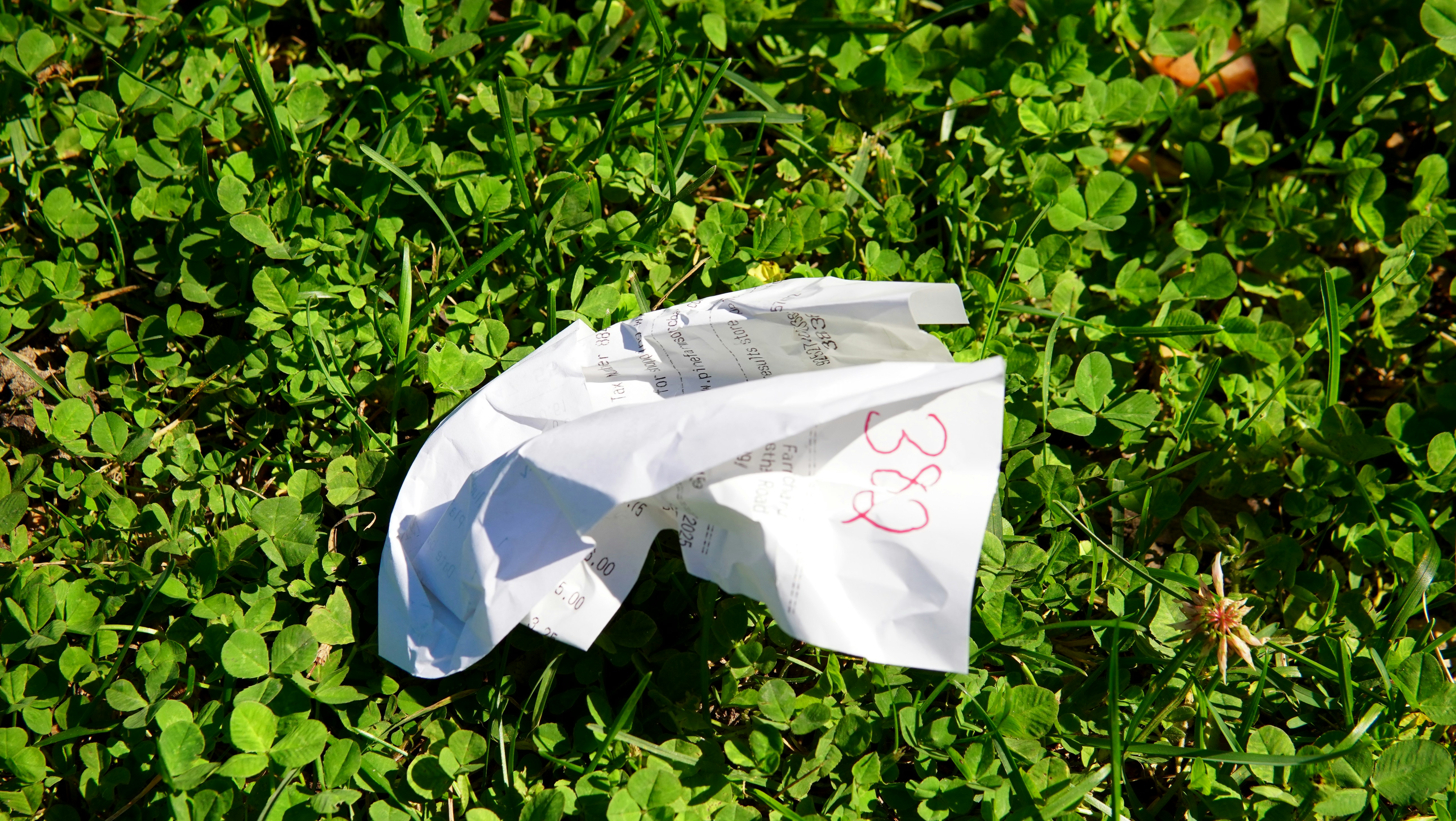 Crumpled paper with writing lies on green grass.