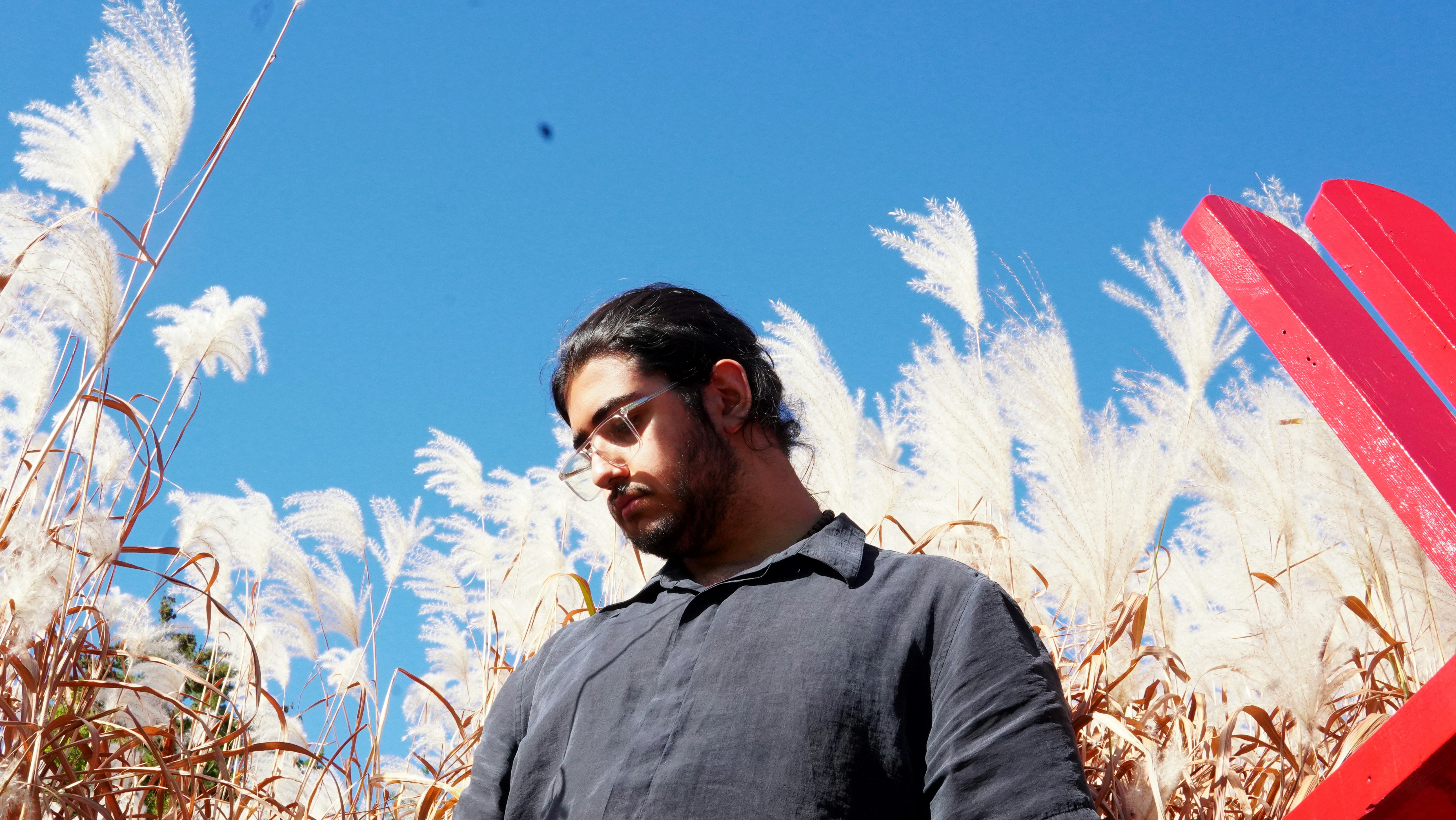 Whispers Among the Pampas