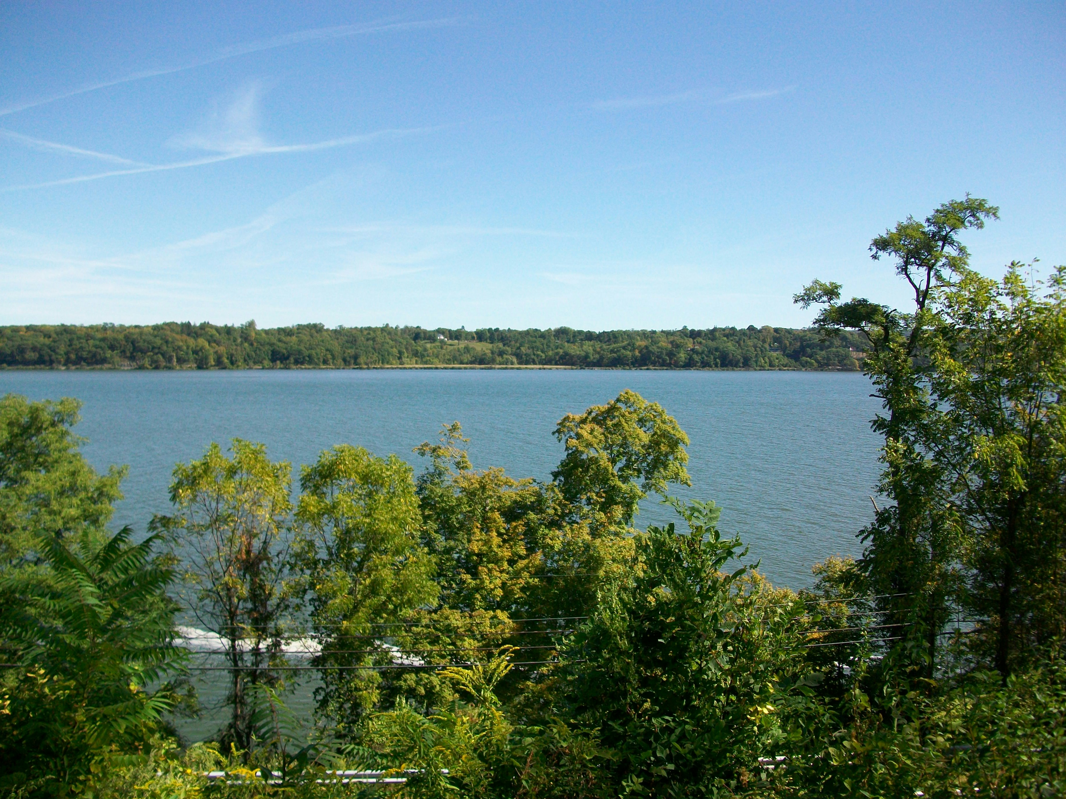 Serene Waterscape: A Glimpse of Nature's Tranquility