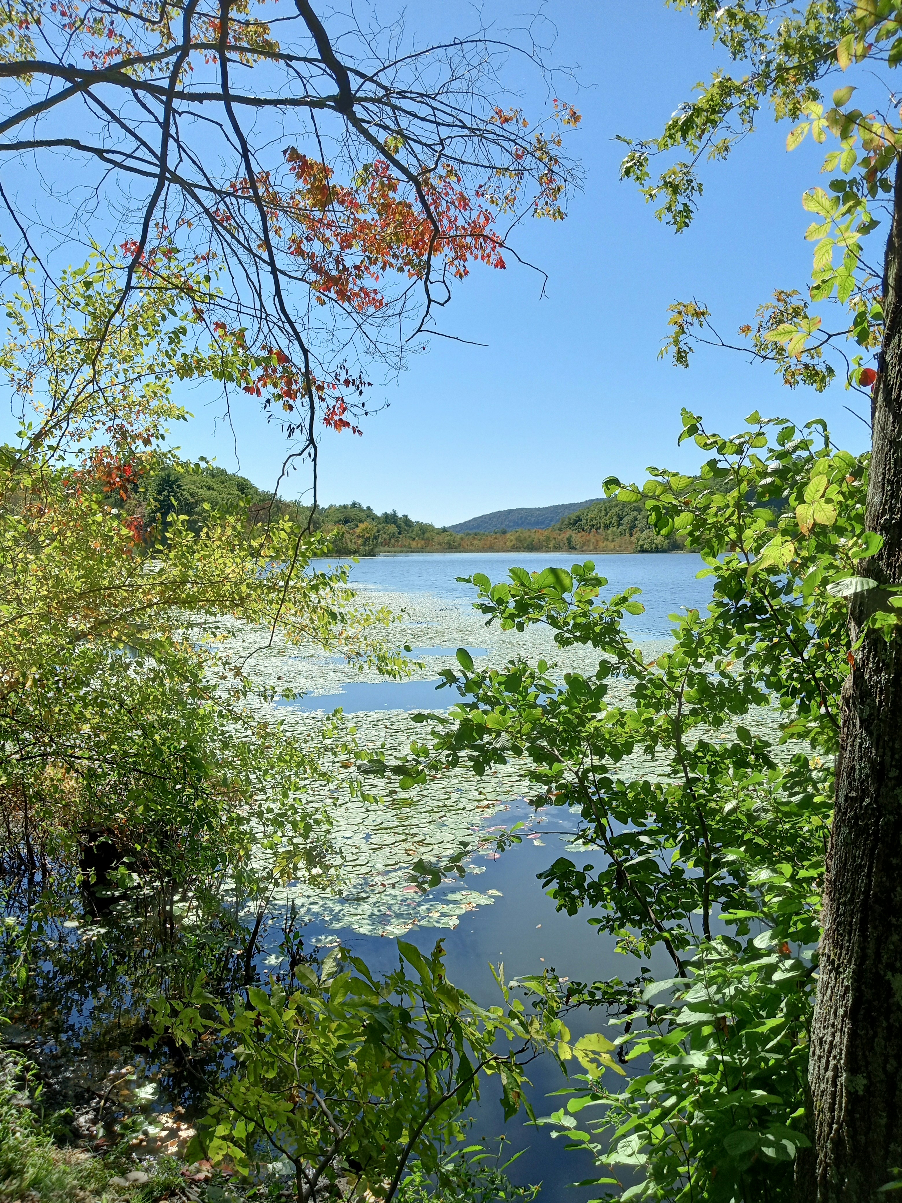 Motorola Moto G Pure Sample Shots