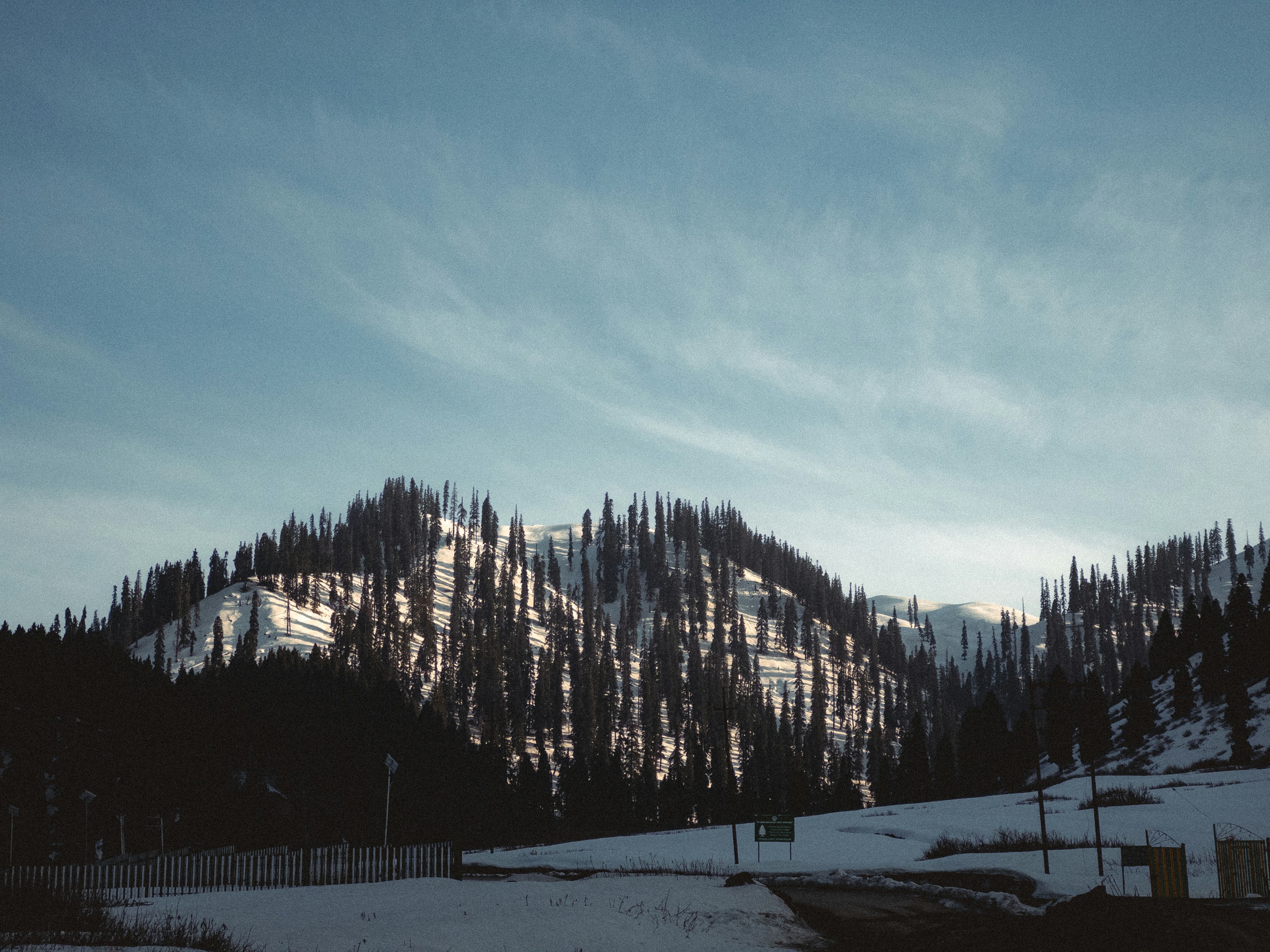 Snowy mountain landscape with pine trees under a clear sky.