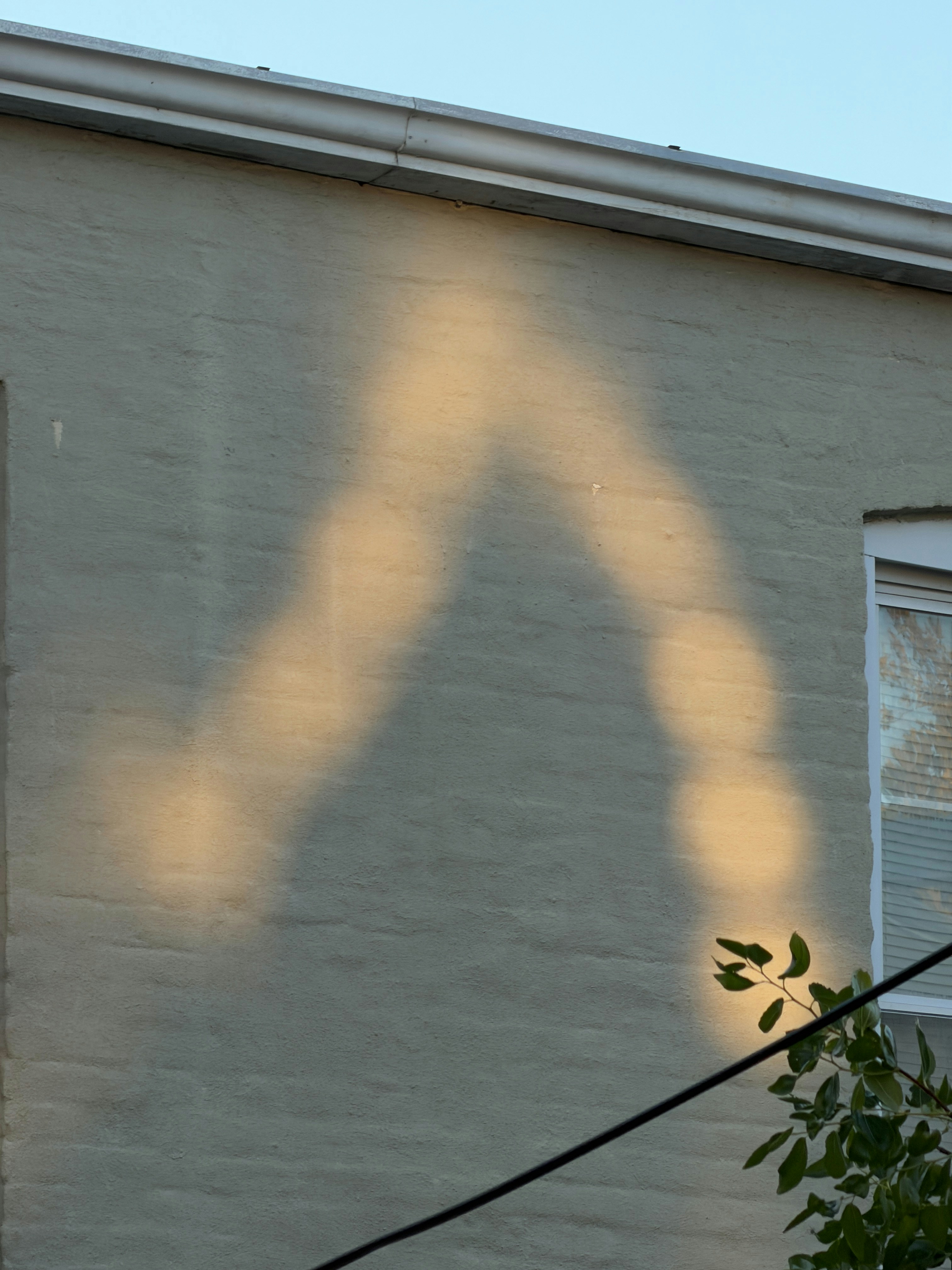 Shadow Play: Nature's Geometry on Urban Walls