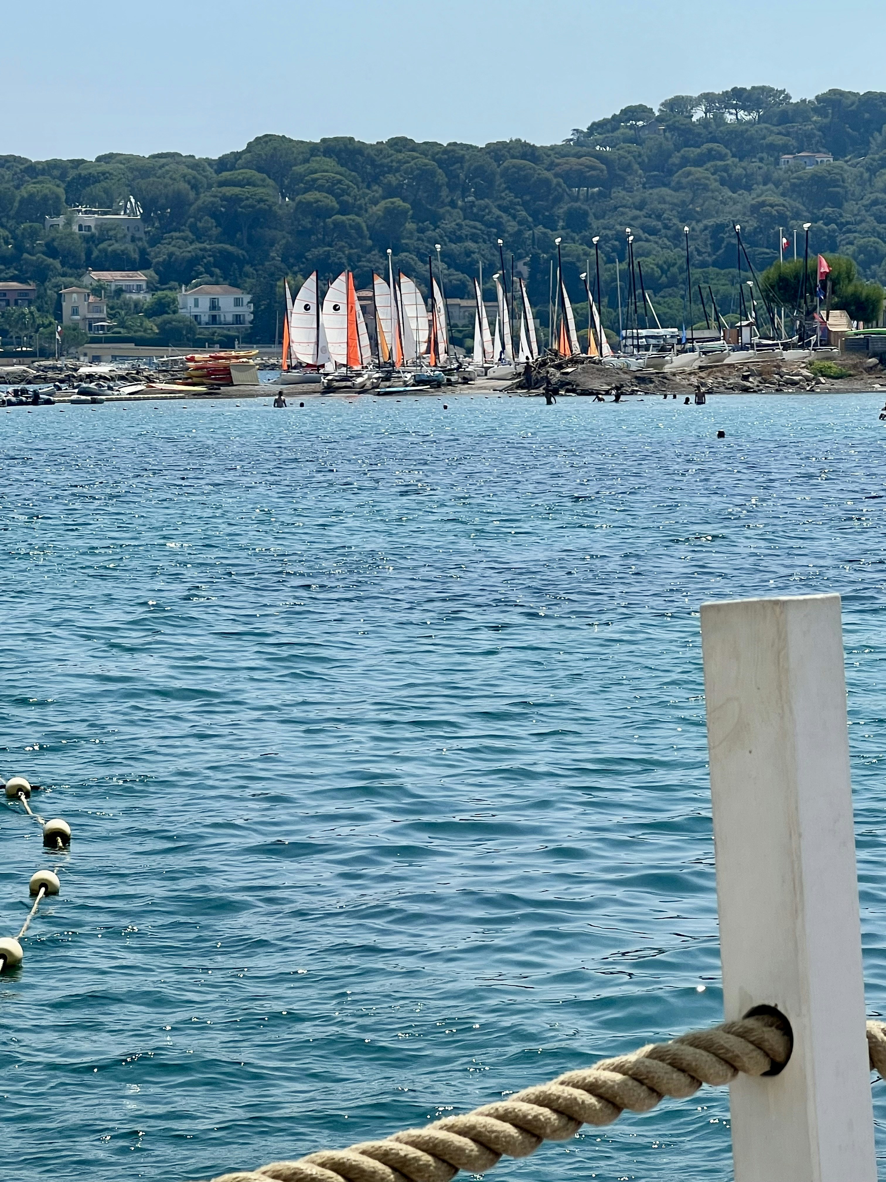 Sails in Harmony: A Coastal Regatta Scene