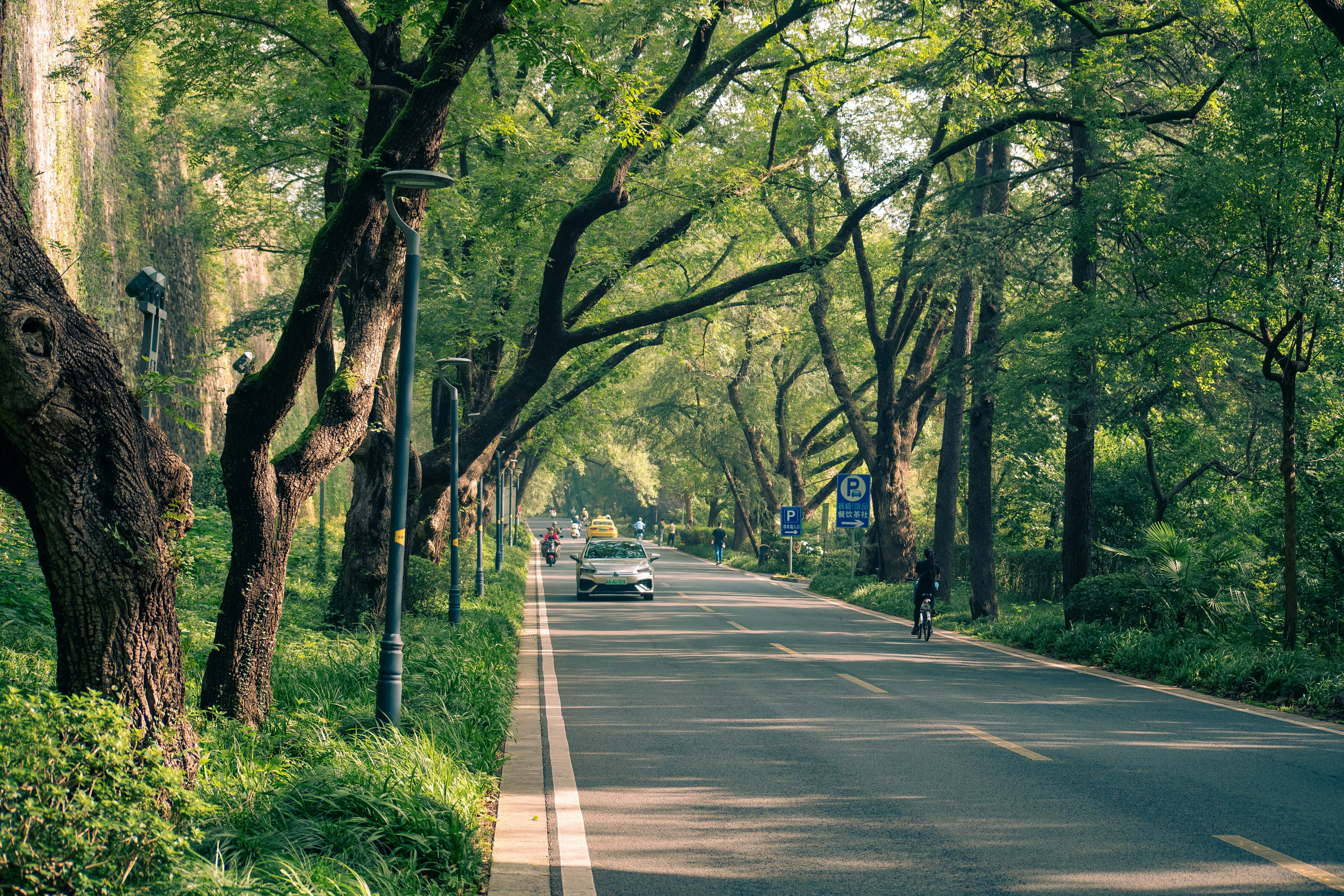 Cheng Shi Song (@haipine) | Komunitas Foto Unsplash