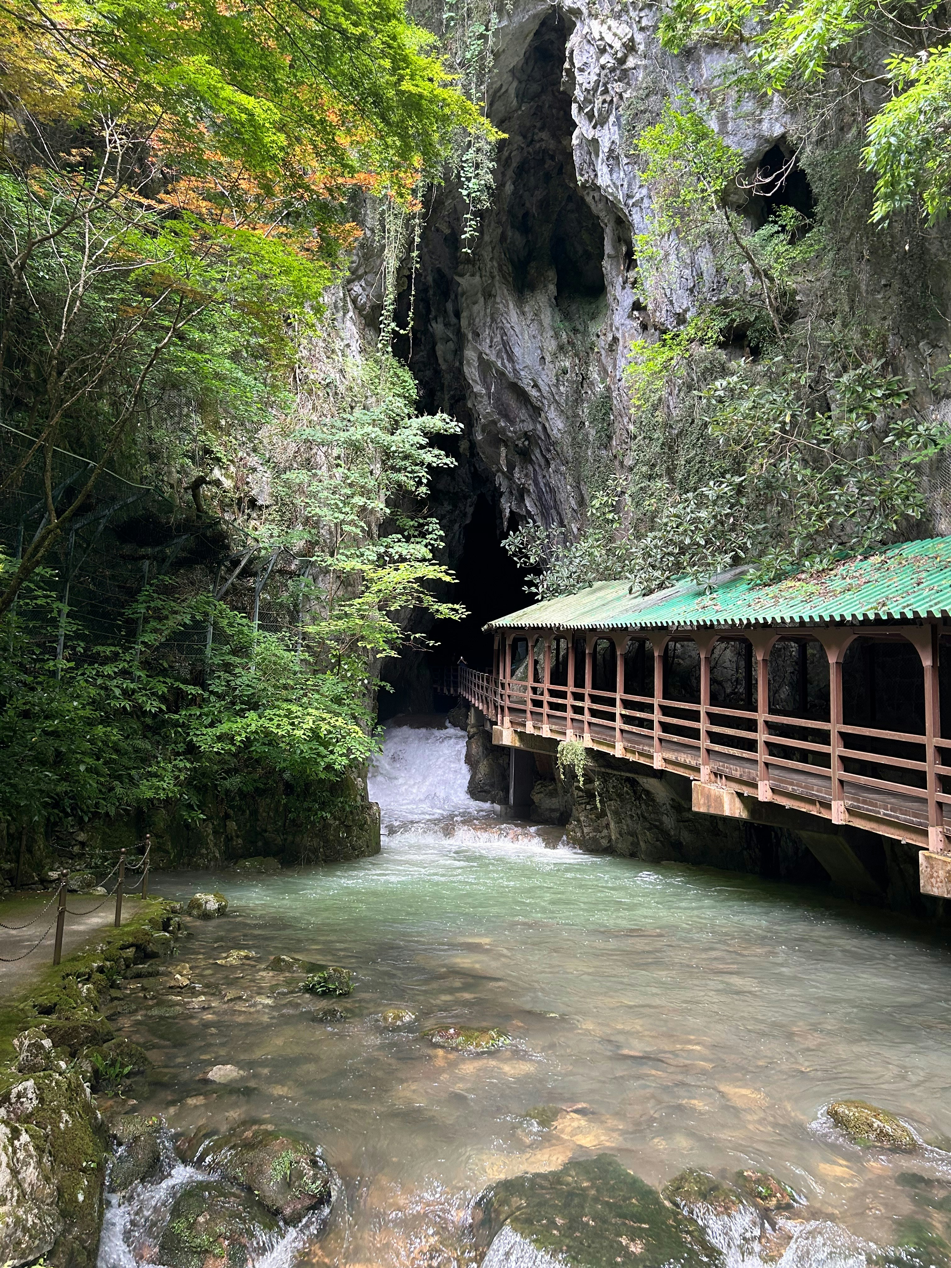 Whispers of Nature: A Hidden Oasis