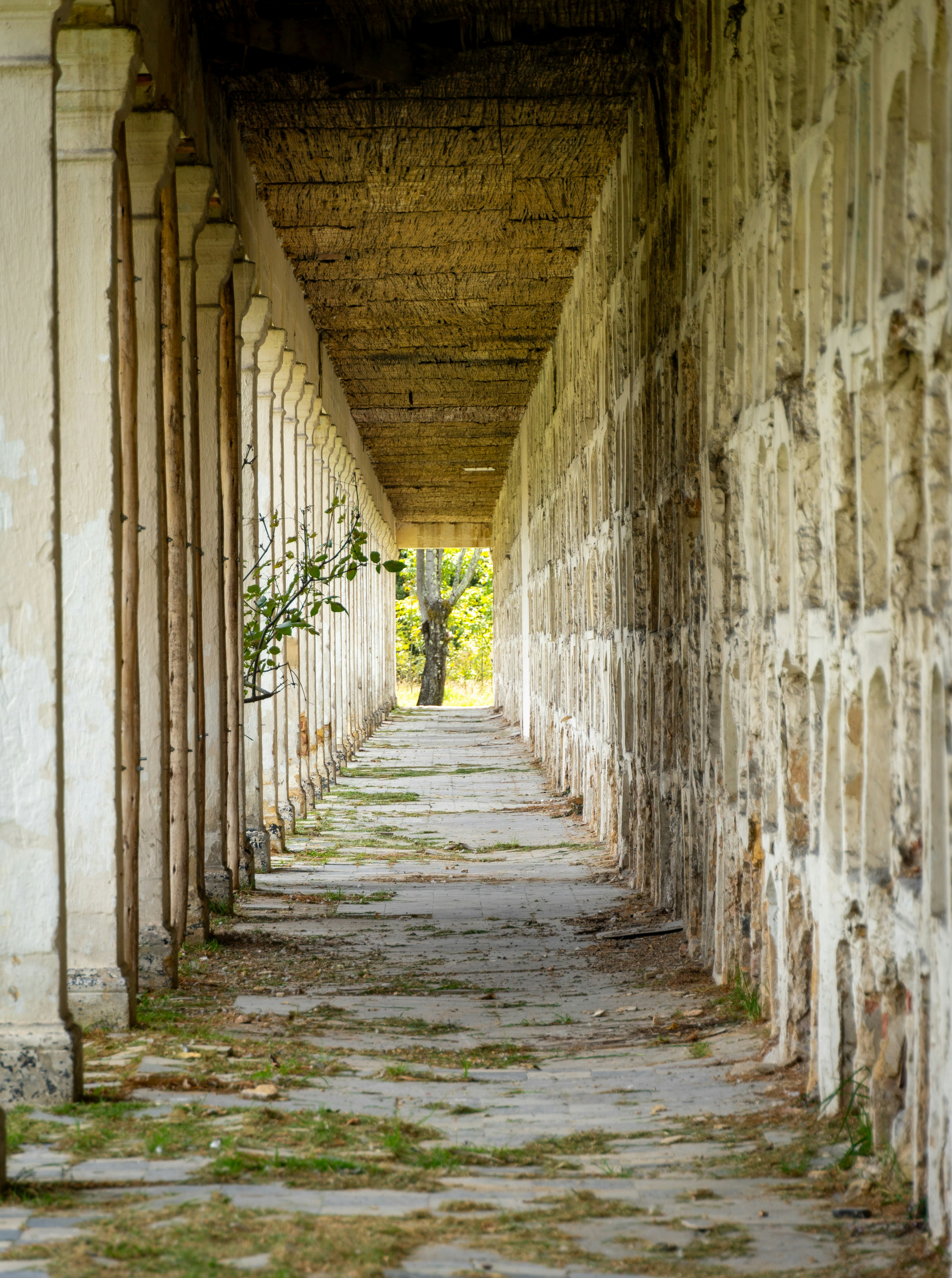 Long stone corridor with columns and trees at the end.