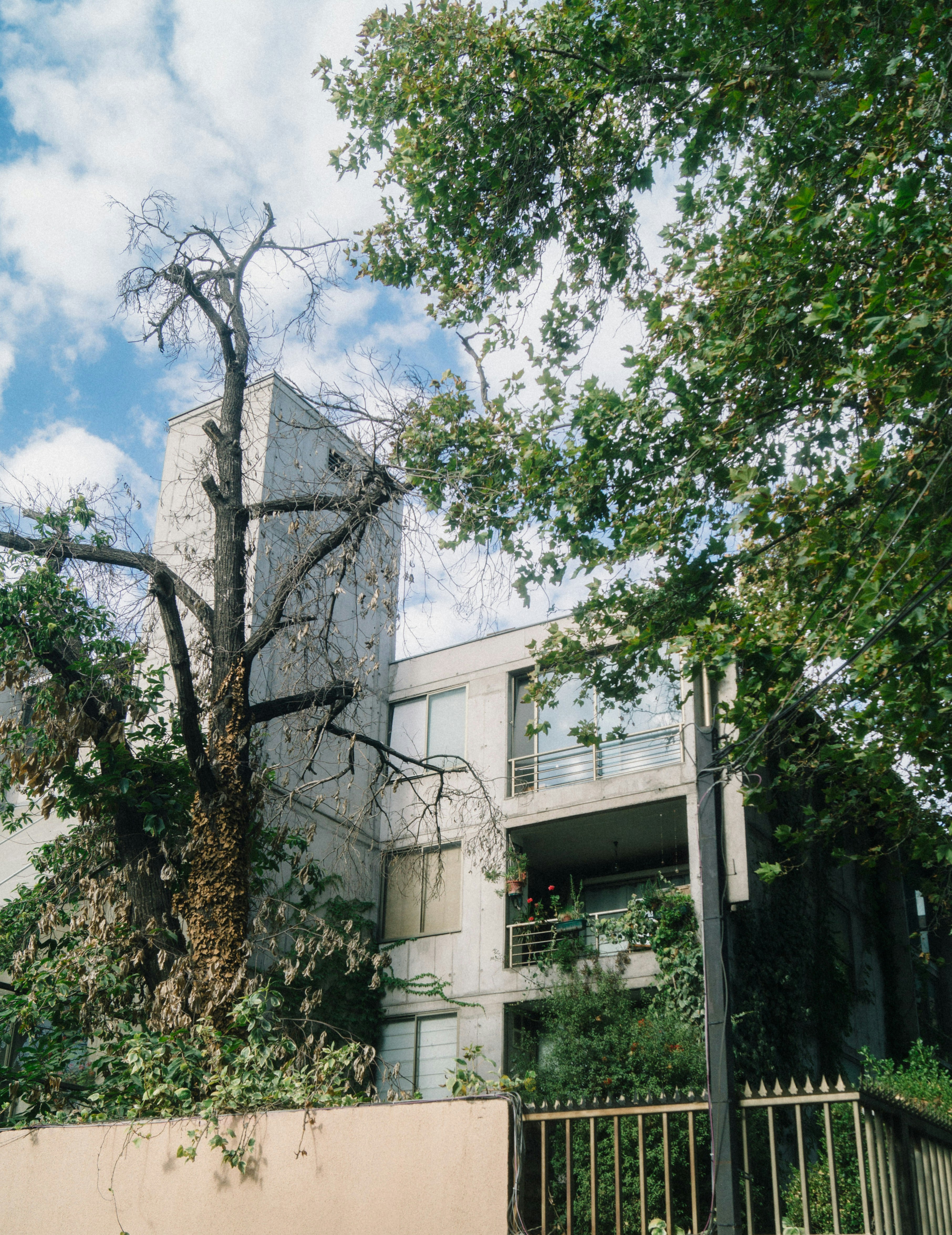 Modern building surrounded by lush green trees.