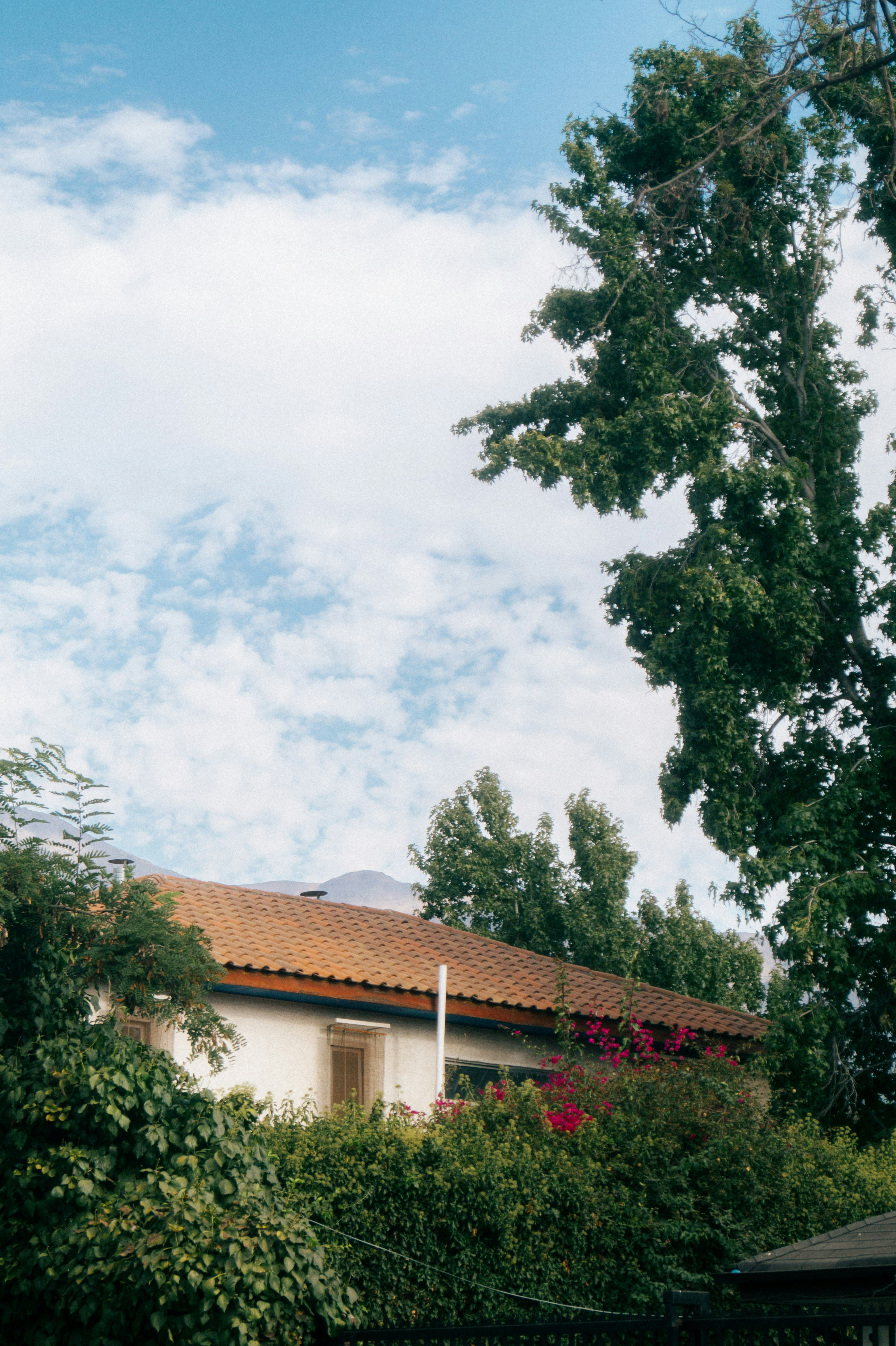 A white house with a tiled roof surrounded by greenery.