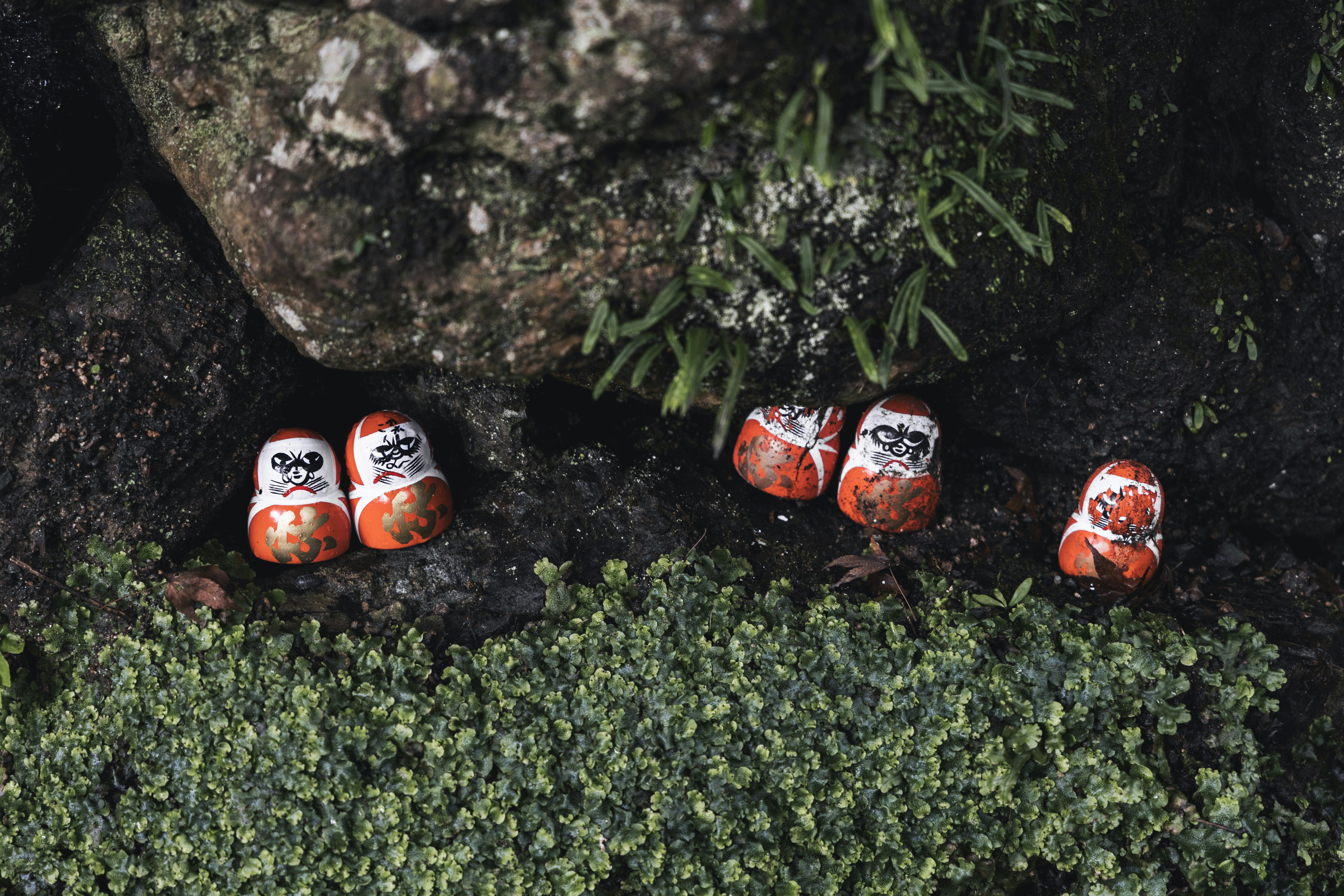 Whimsical Guardians of the Mossy Realm