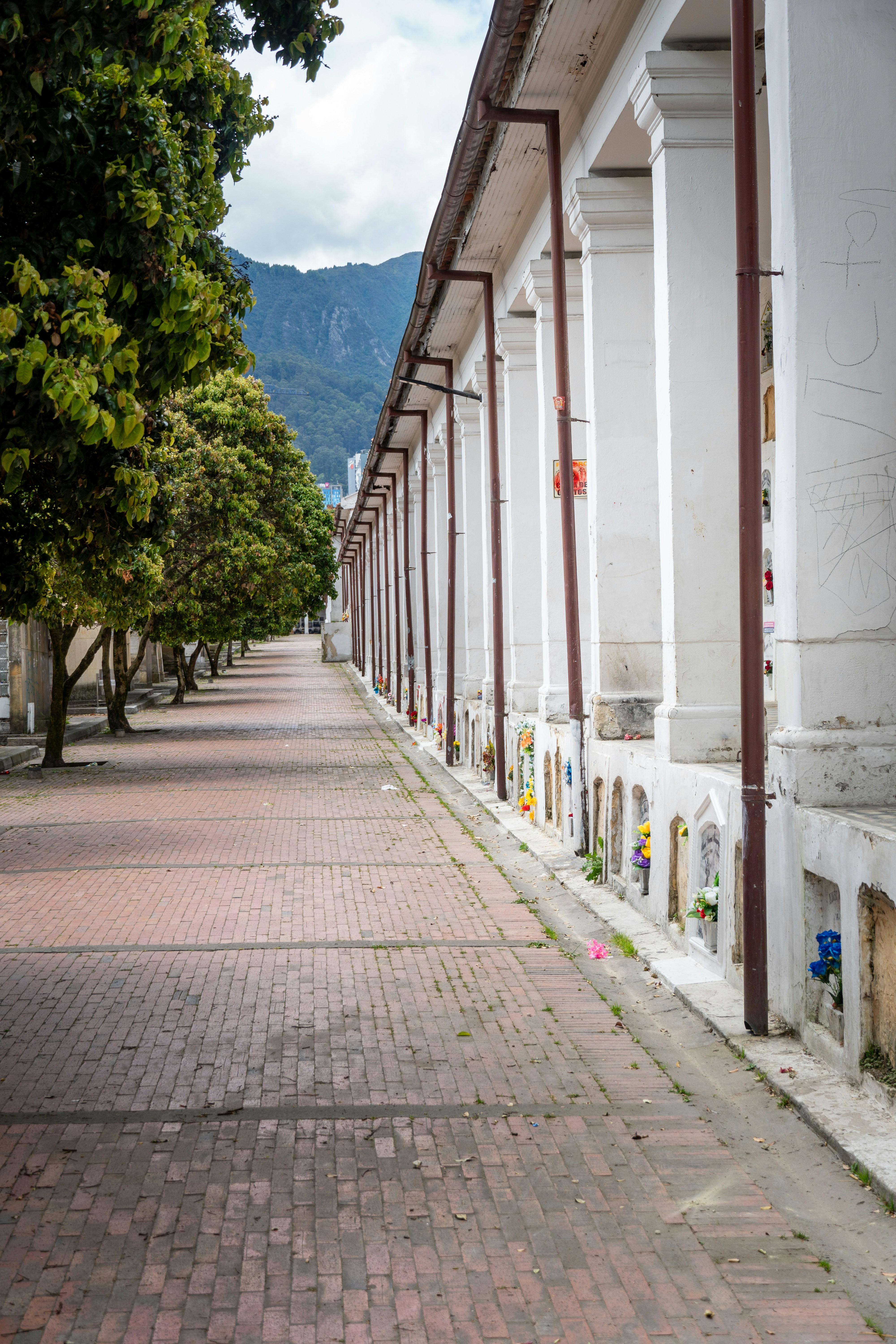 A long walkway with columns and trees in a cemetery. photo – Free ...