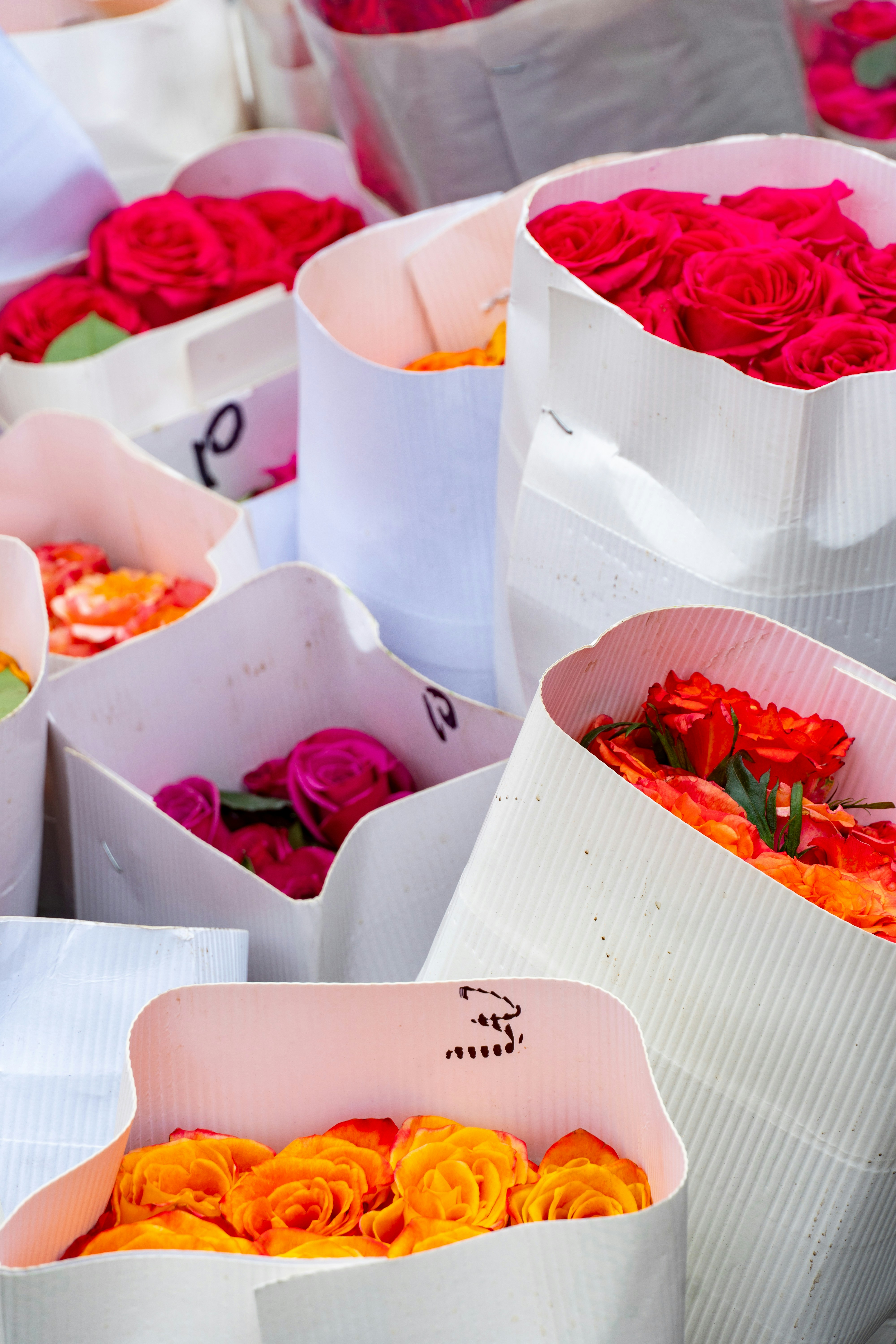 A Symphony of Roses: Nature's Palette in Paper Wrapping