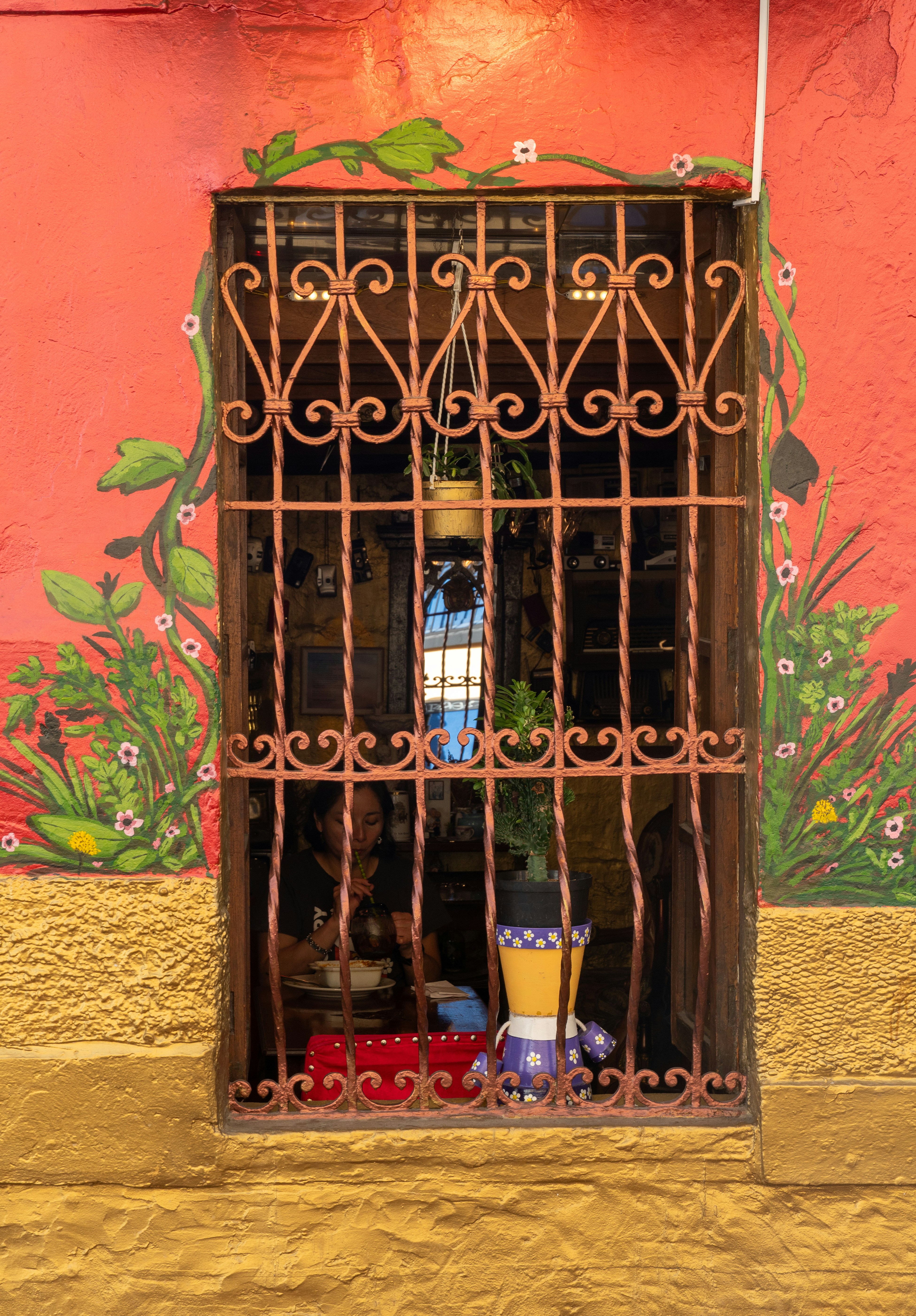 A Glimpse Through the Artistic Grille