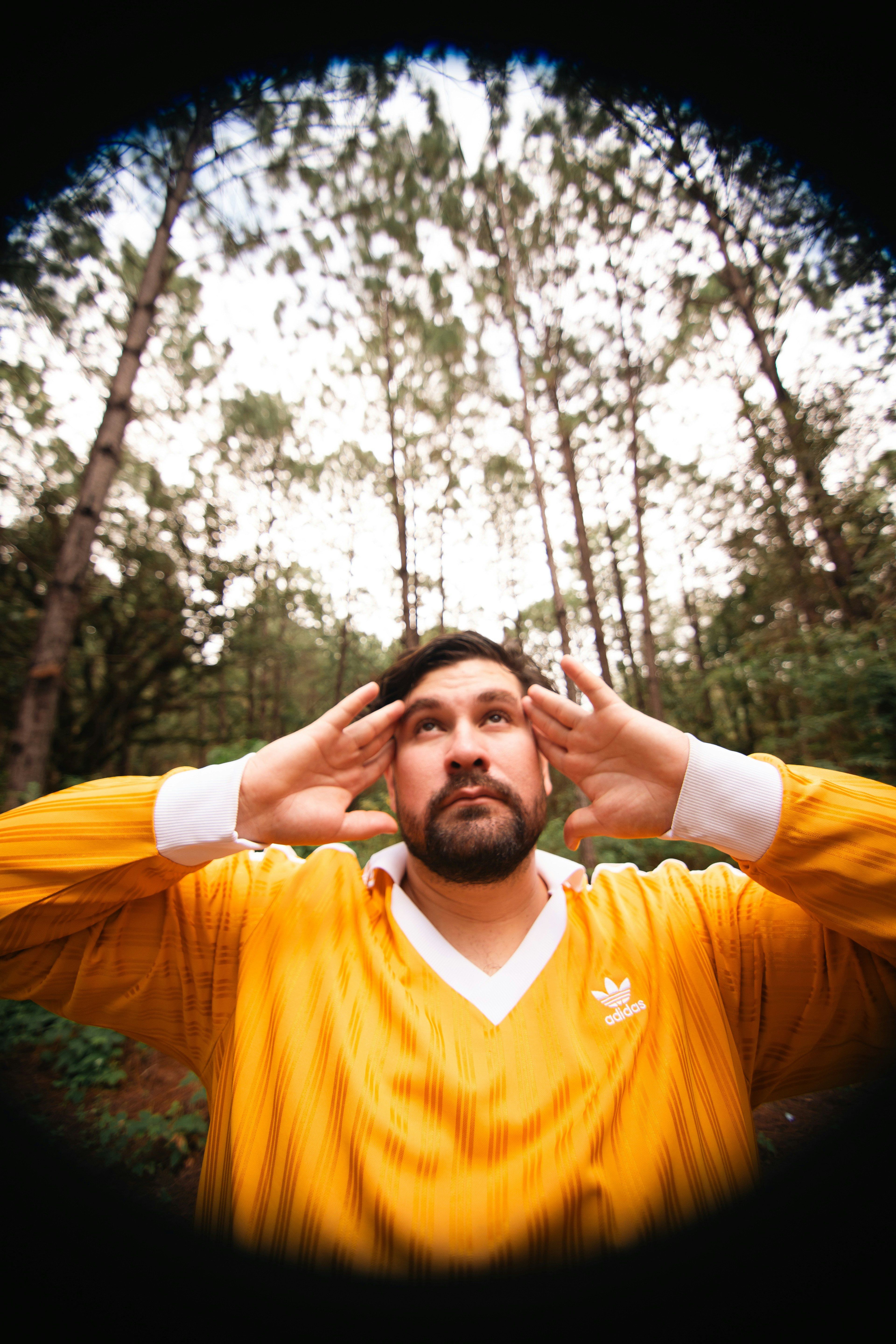 Man in yellow shirt looking up in forest
