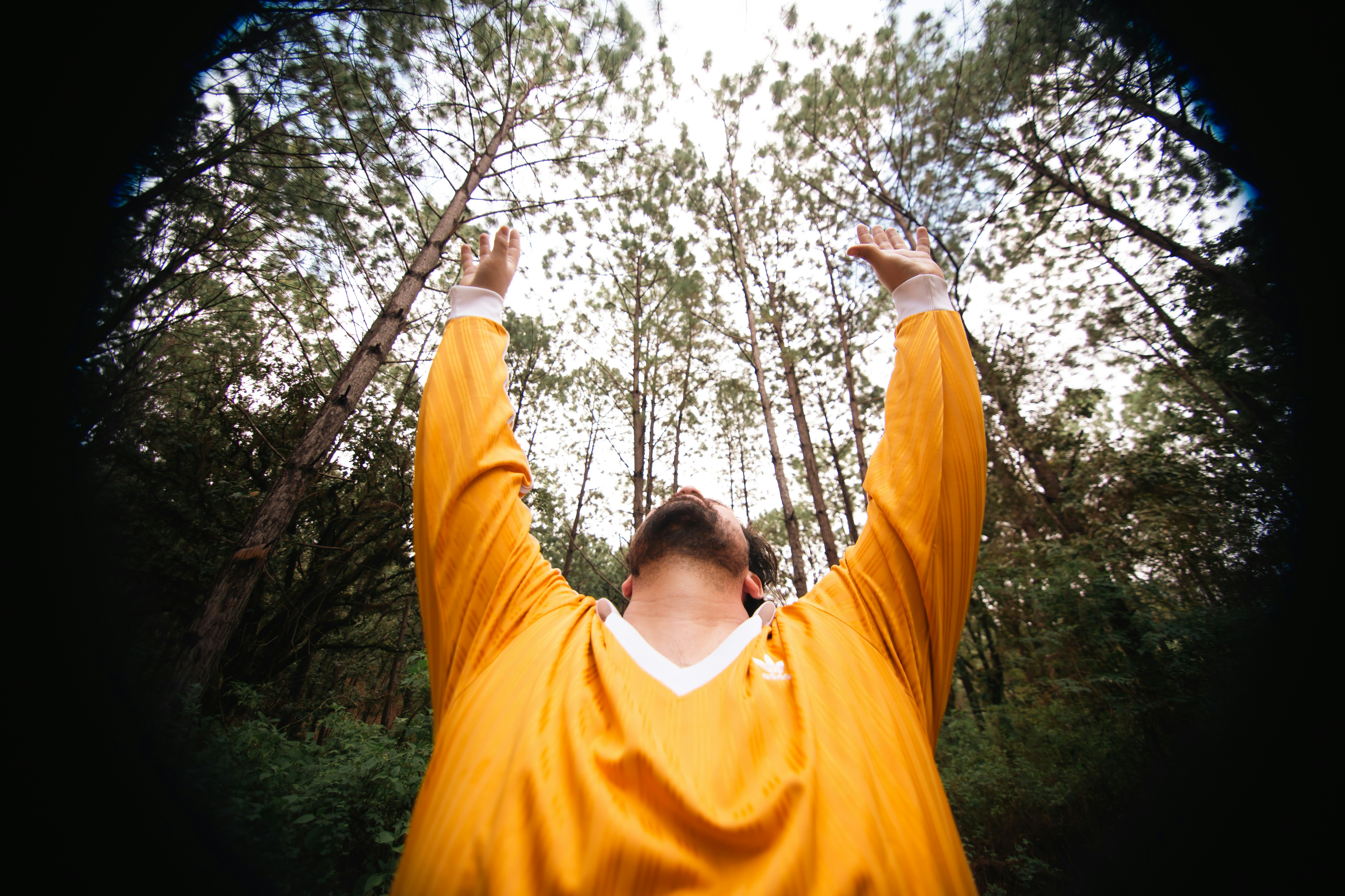 Man in yellow shirt looking up at trees