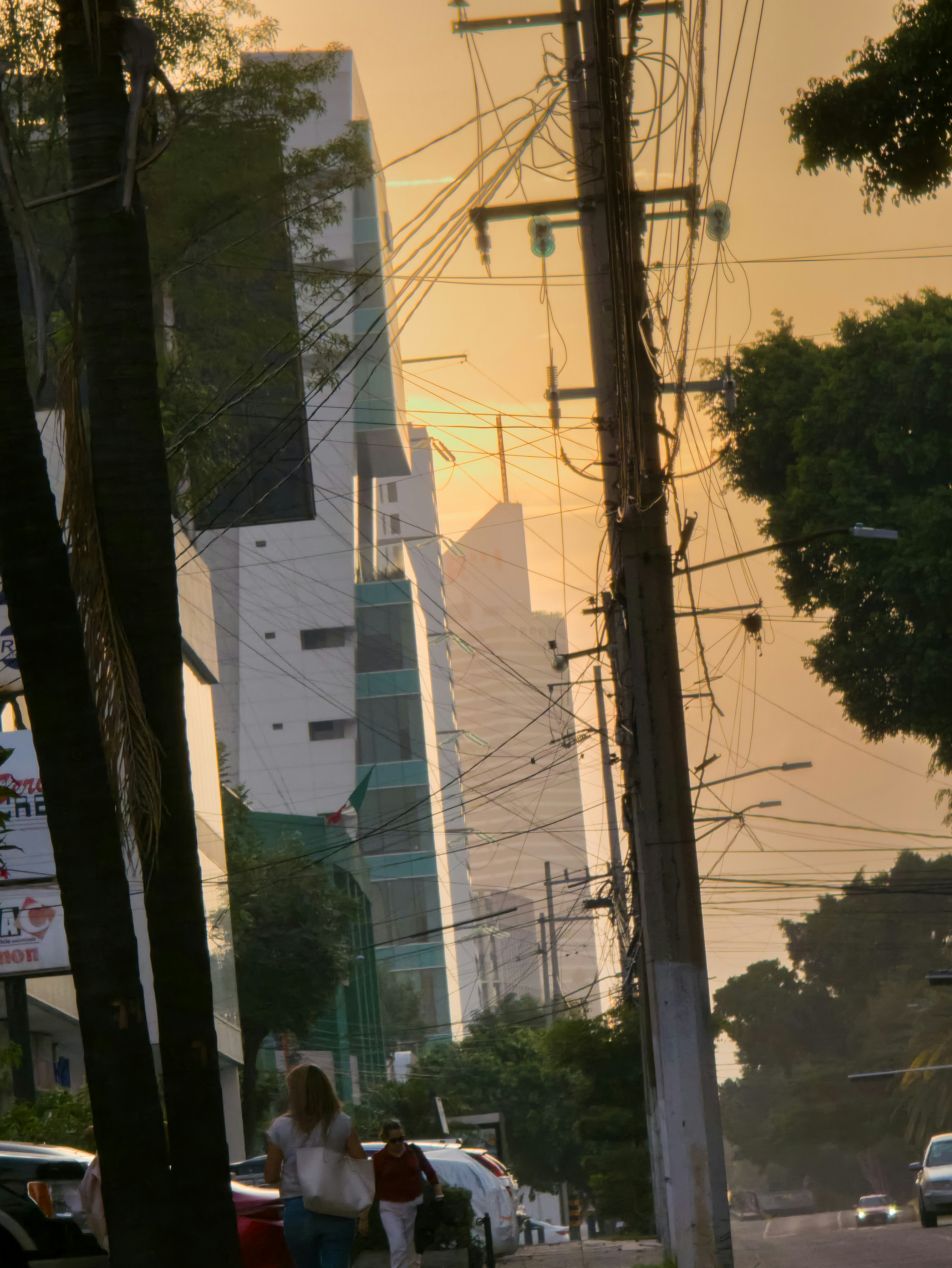 Urban Symphony: The Intersection of Nature and Infrastructure