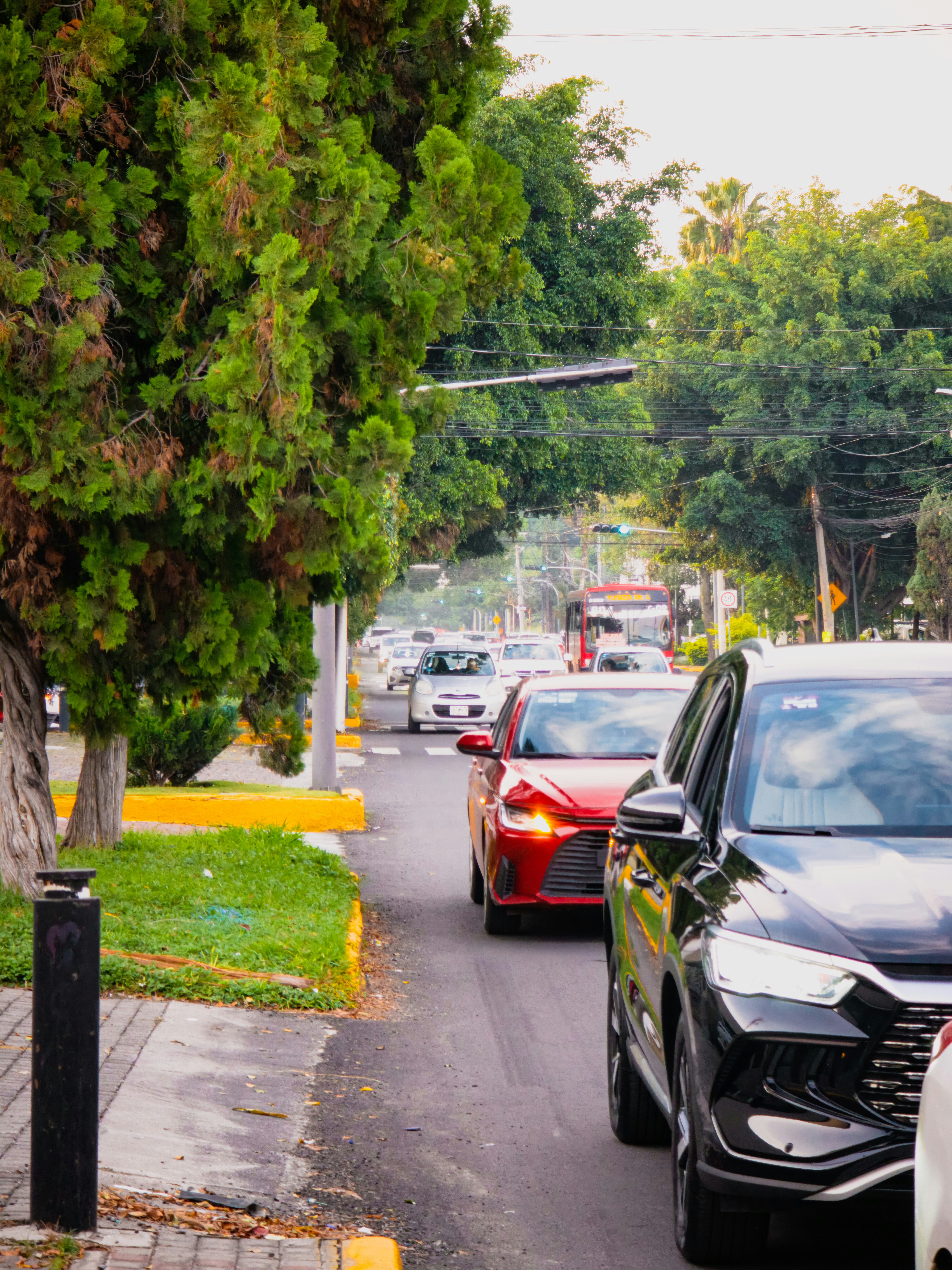 Jaime Luna Flores (@black_lion) | Unsplash Photo Community