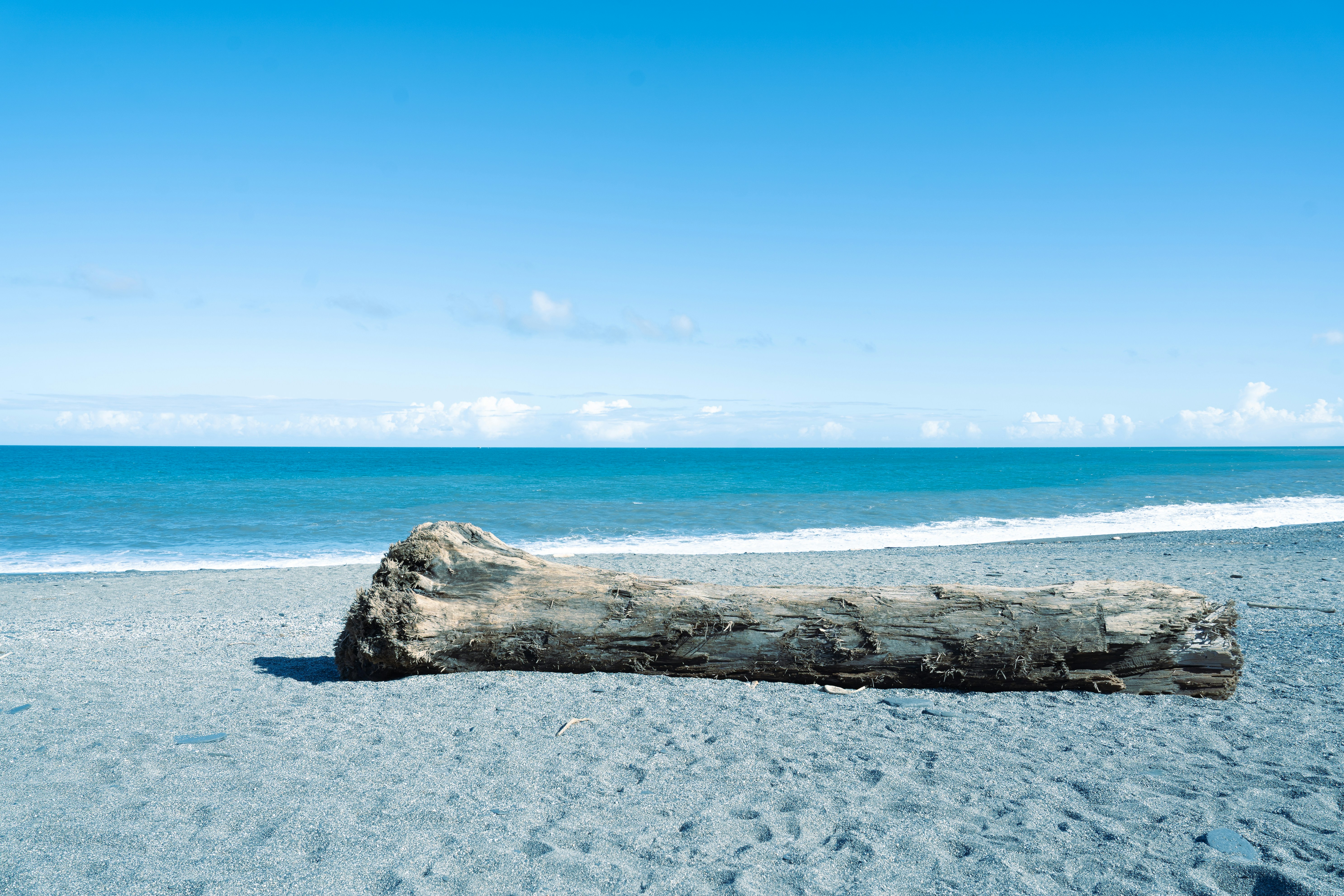 A piece of driftwood lies sideways on the beach. | Driftwood on a sandy beach with ocean waves.