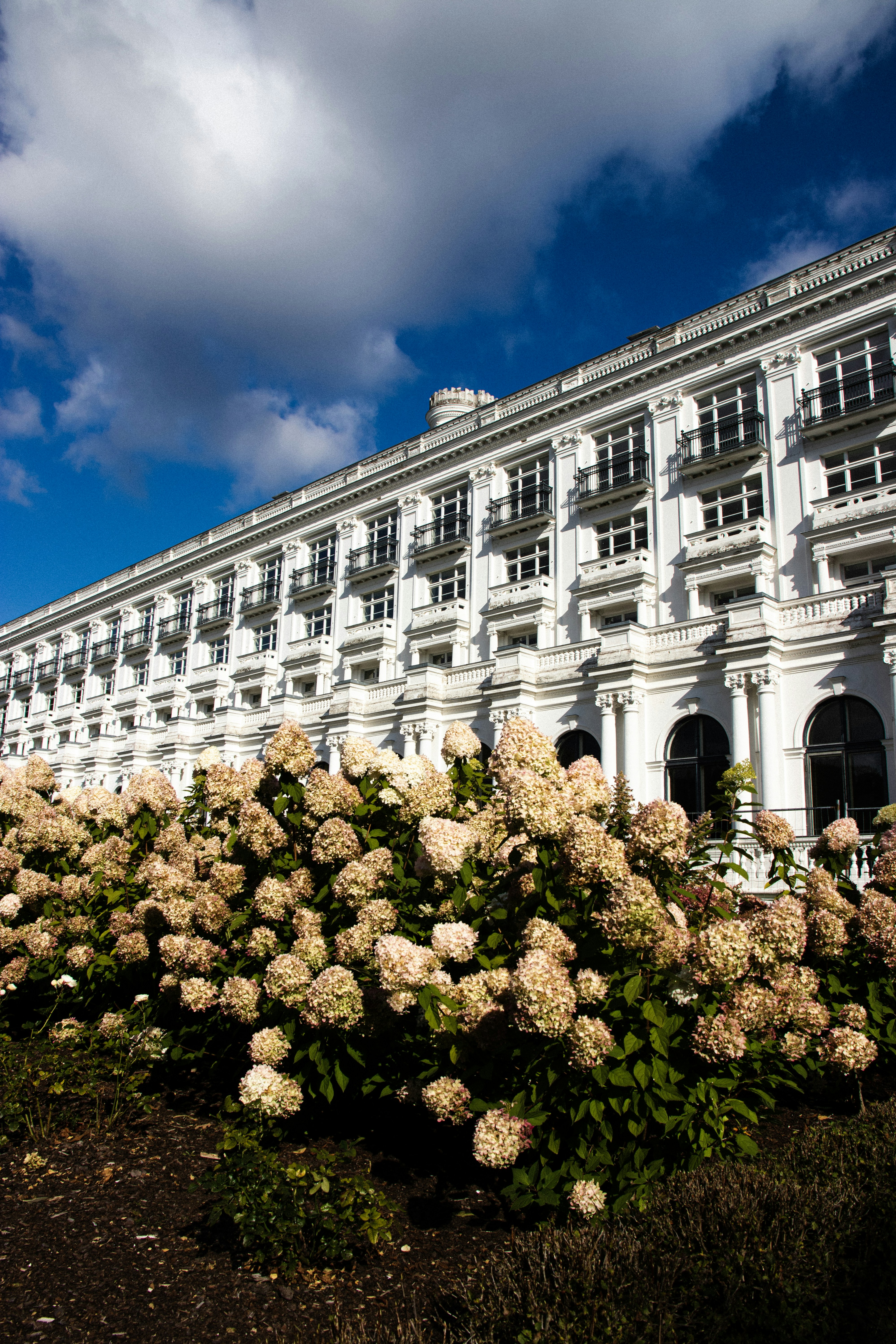 Floral Elegance Against Timeless Architecture