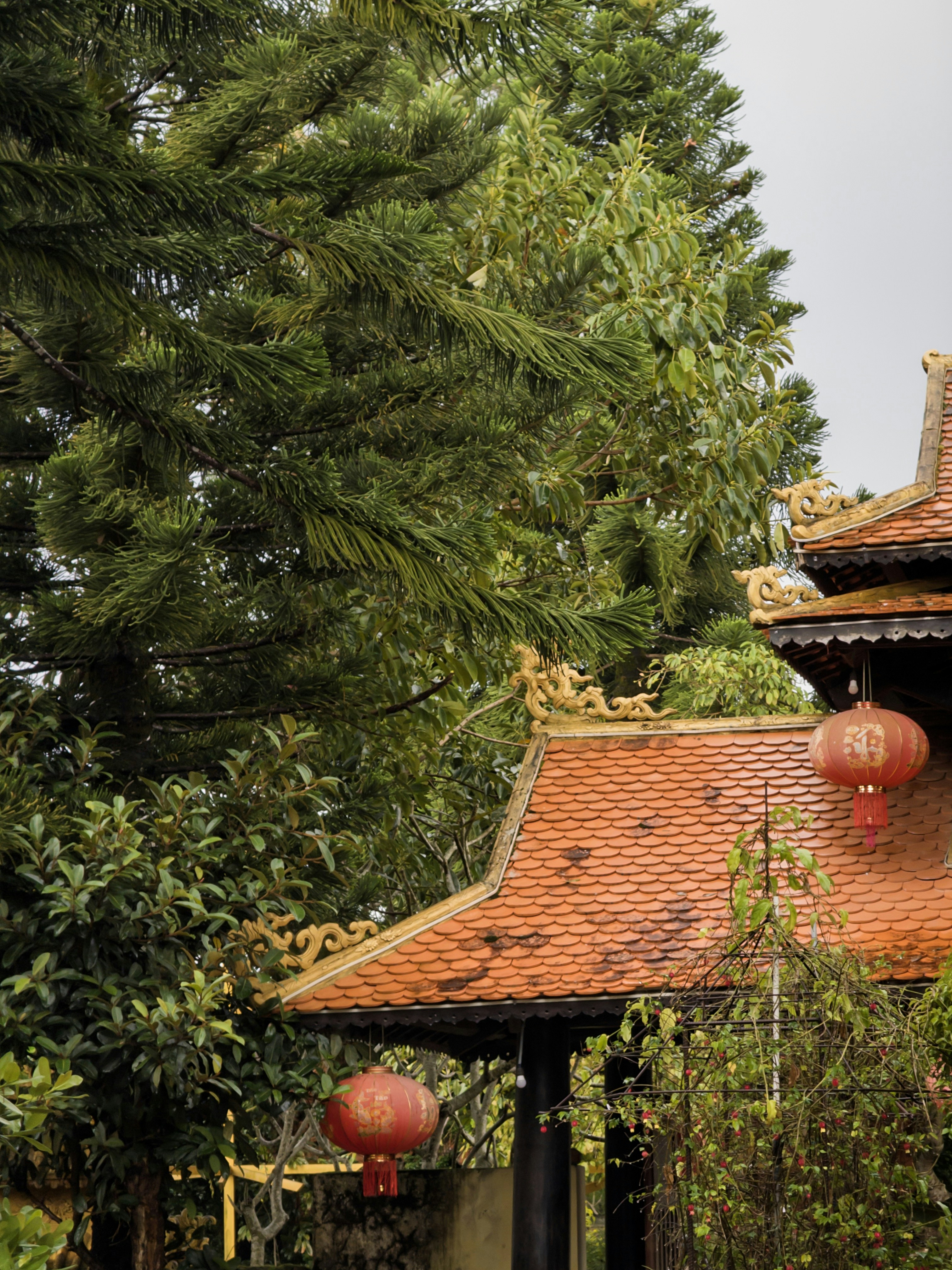 Traditional Asian architecture adorned with red lanterns, framed by lush greenery. A serene glimpse into cultural heritage.