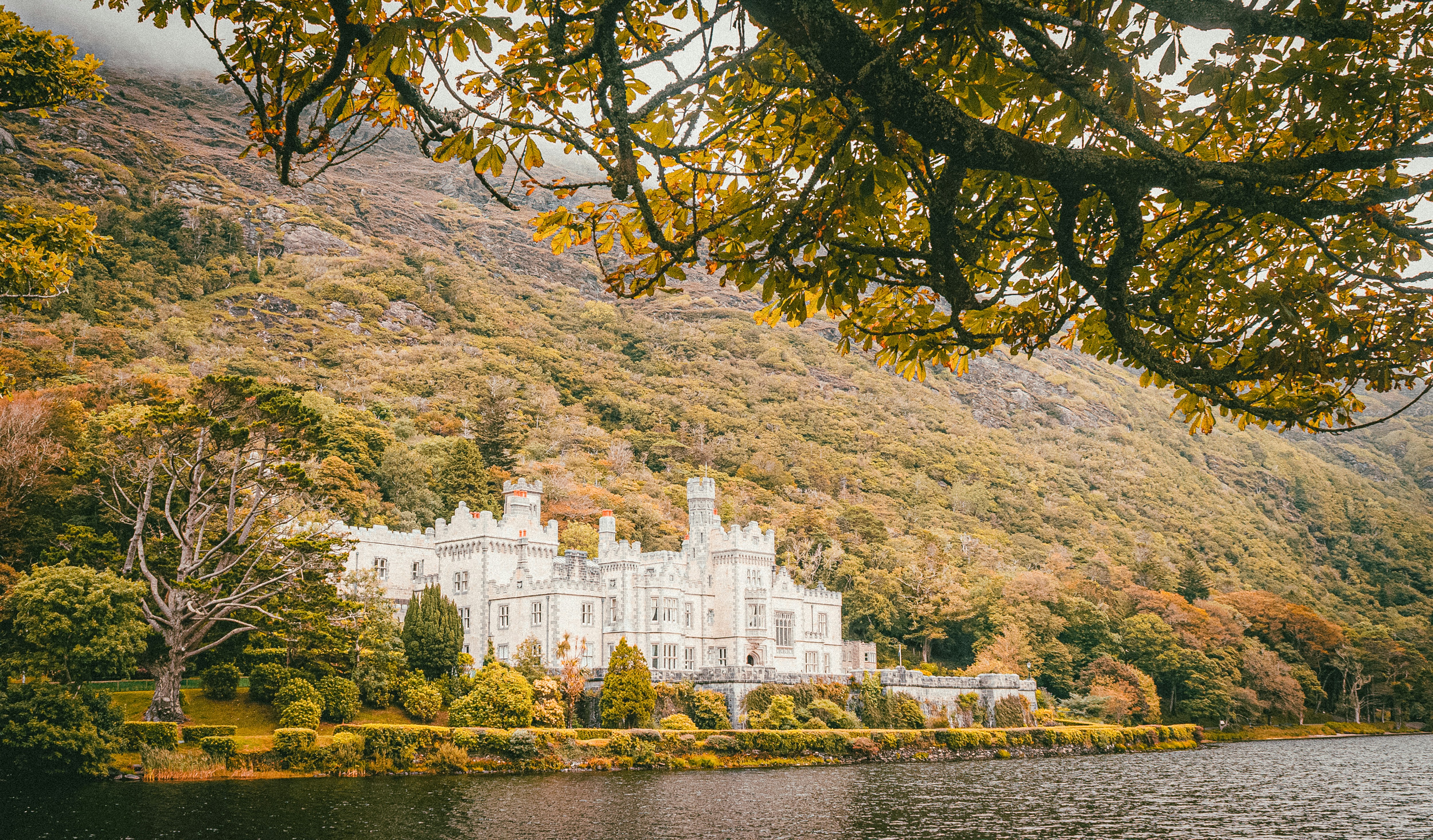 A breathtaking castle nestled in the wild green hills of Connemara, County Galway, Ireland. Originally built in the 1800s by Mitchell Henry as a romantic tribute to his wife, this enchanting site is now home to Benedictine nuns and is celebrated for its serene setting, rich history, and beautifully restored Victorian Walled Garden | White castle by a lake with autumn trees