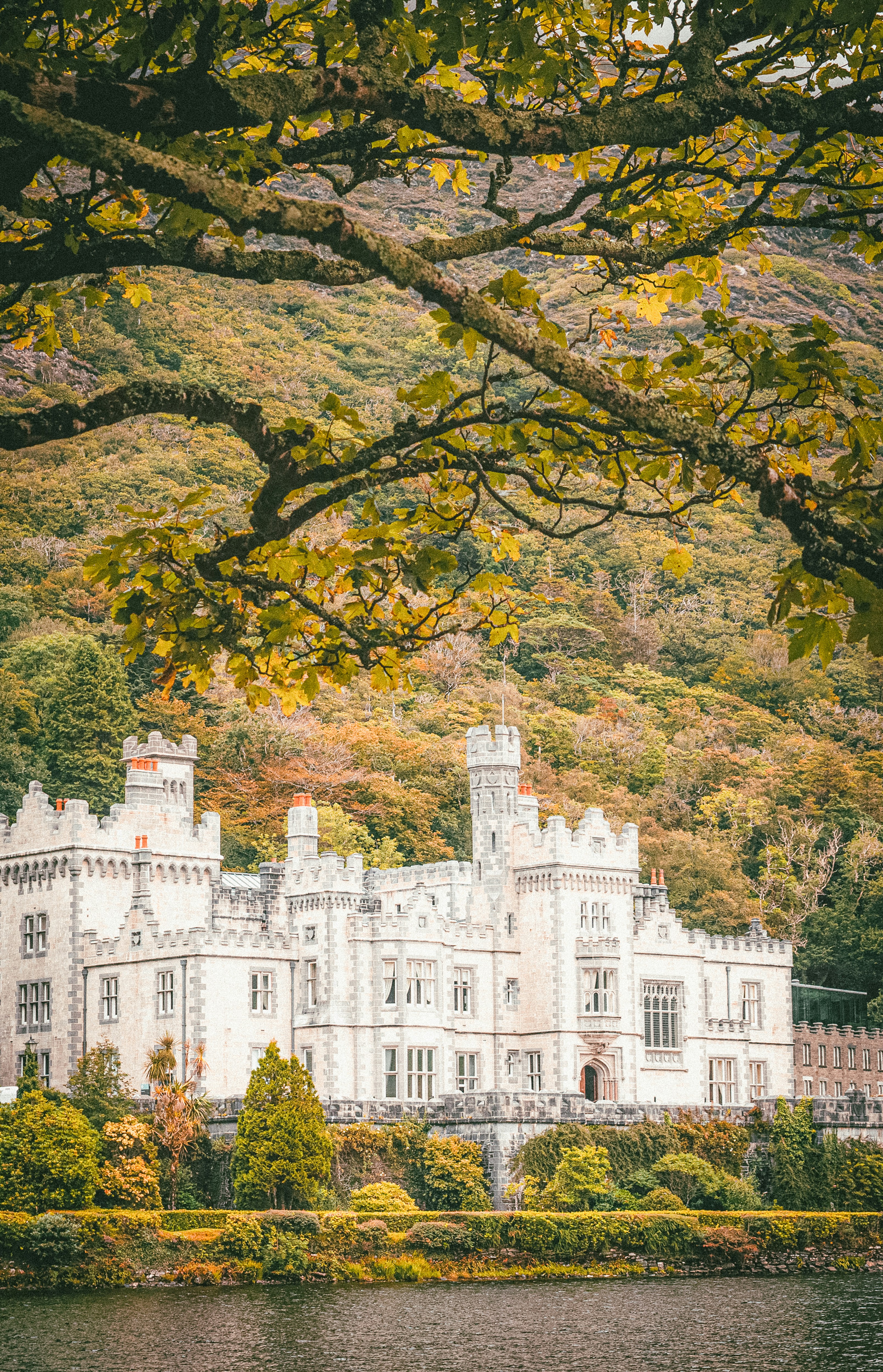 Timeless Elegance: A Castle Amidst Nature's Embrace