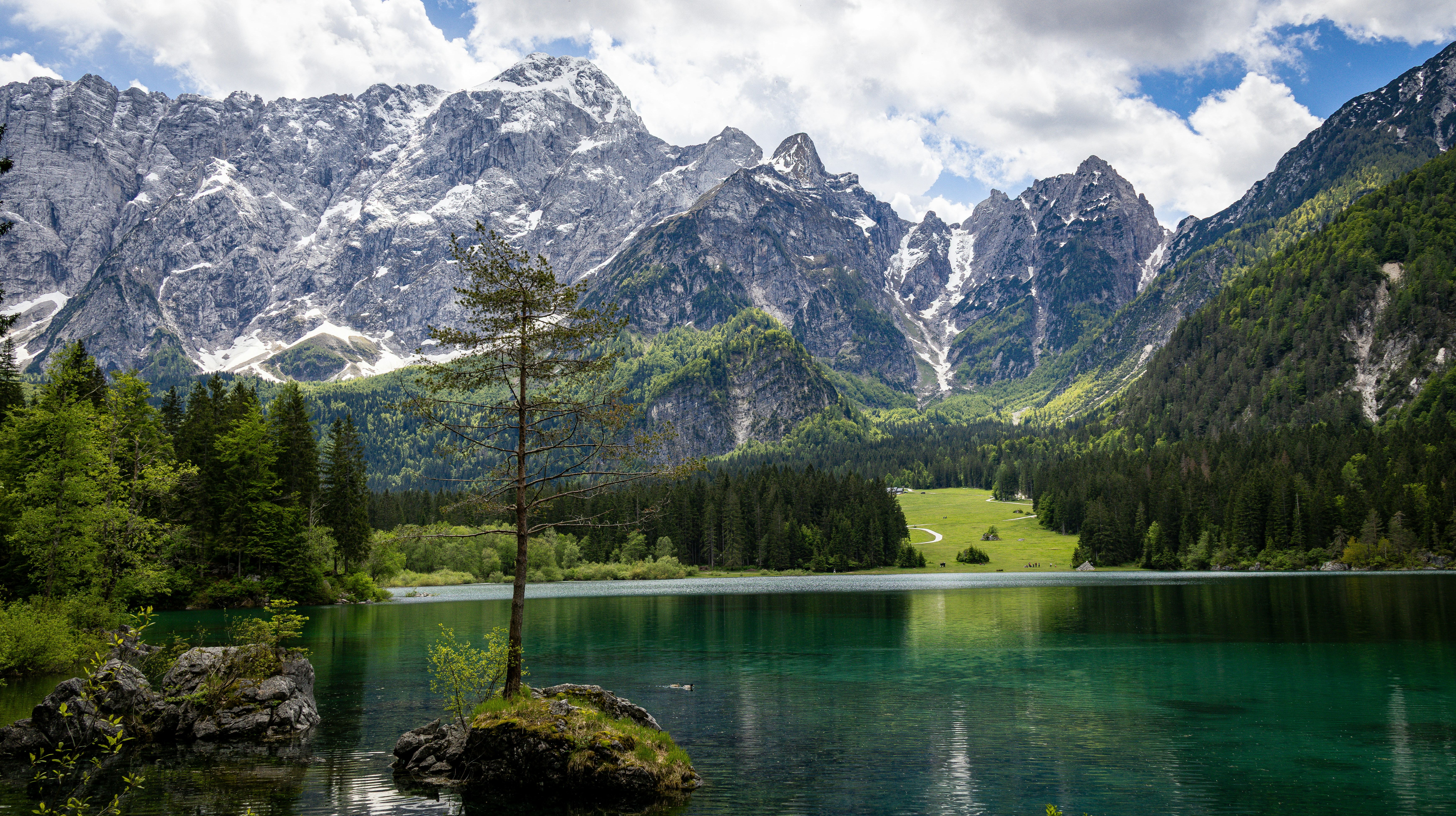 Serene lake with mountains and green forest